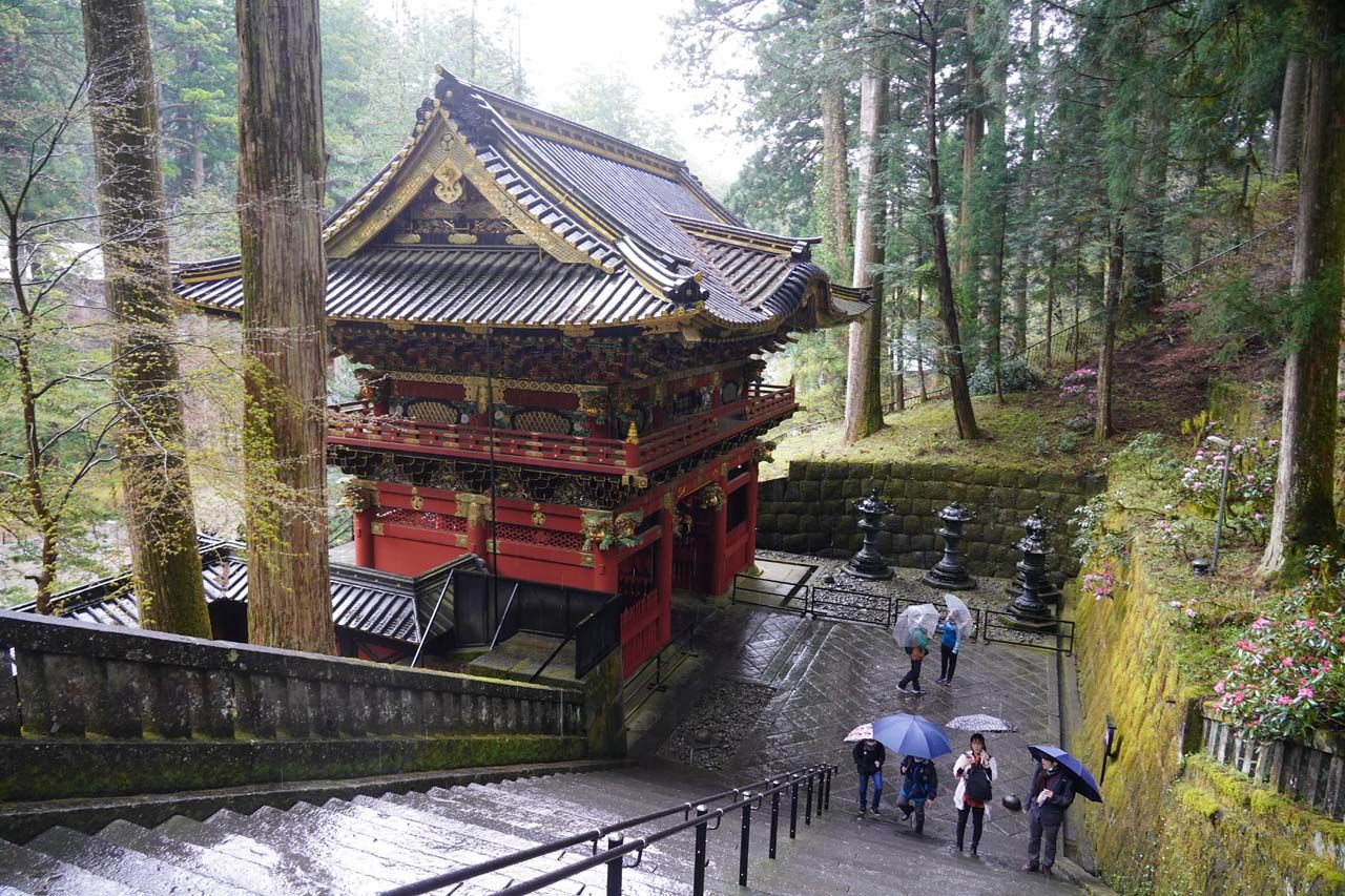 Nikko Wallpapers - Top Free Nikko Backgrounds - WallpaperAccess