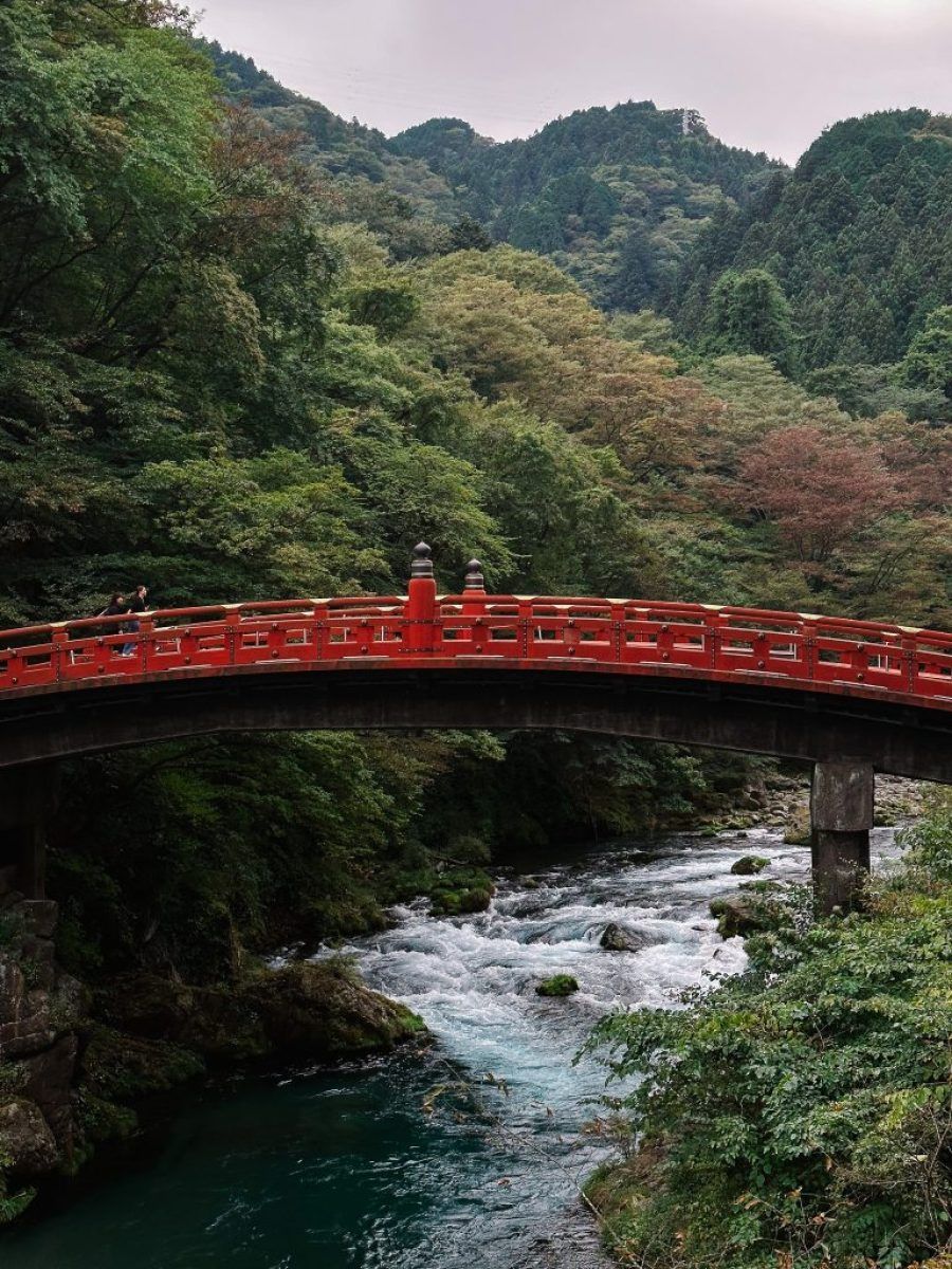 Nikko Wallpapers - Top Free Nikko Backgrounds - WallpaperAccess