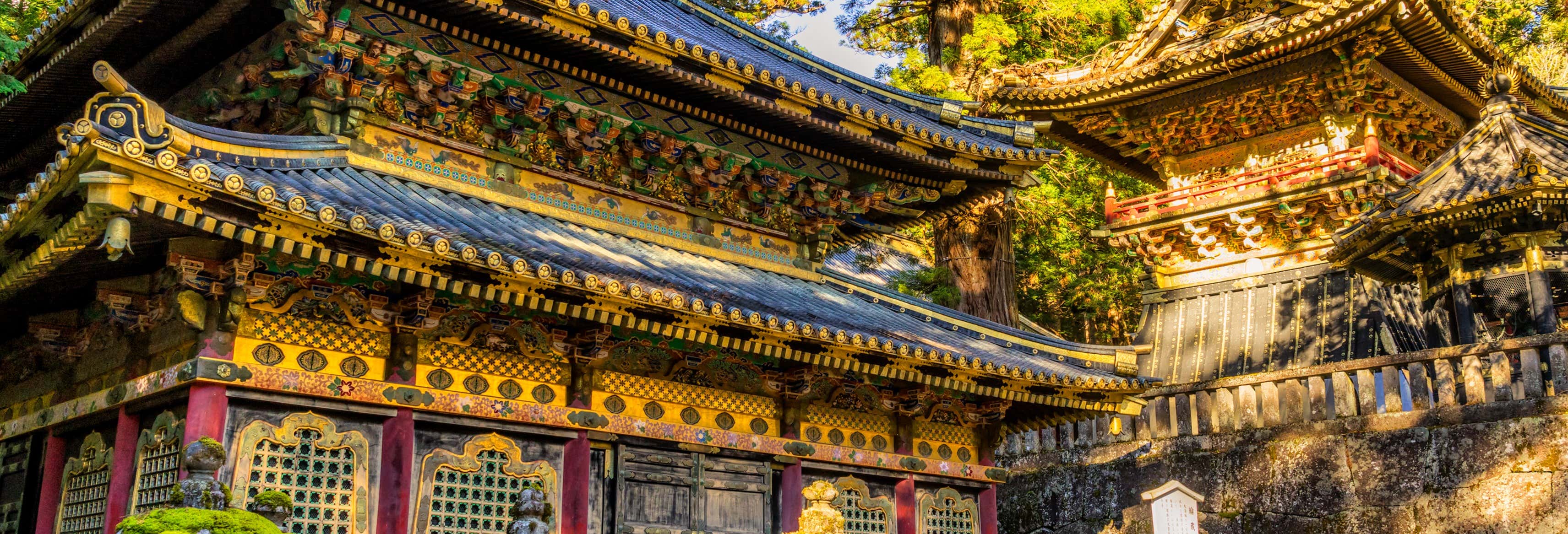 Nikko Wallpapers - Top Free Nikko Backgrounds - WallpaperAccess