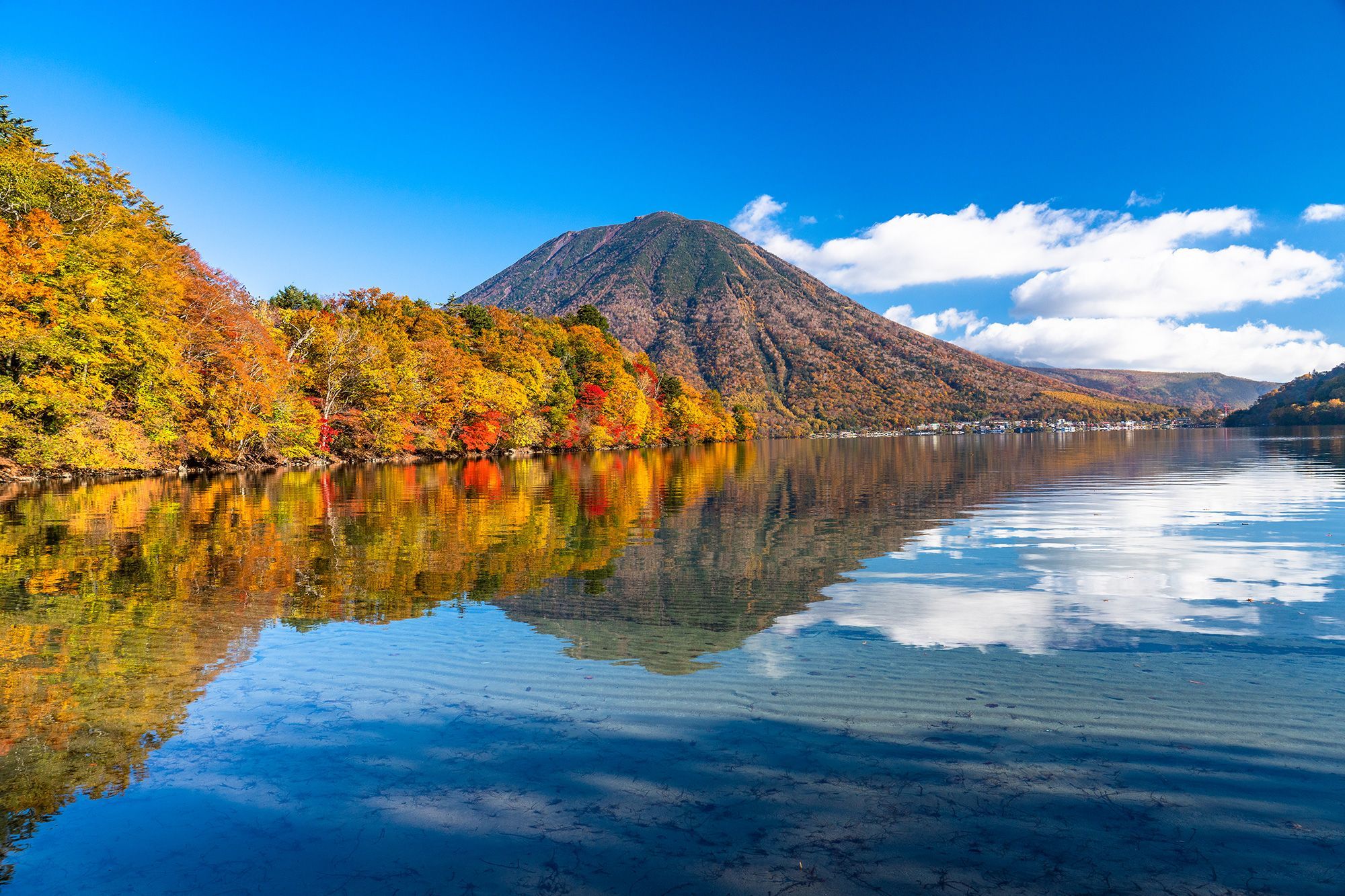 Nikko Wallpapers - Top Free Nikko Backgrounds - WallpaperAccess
