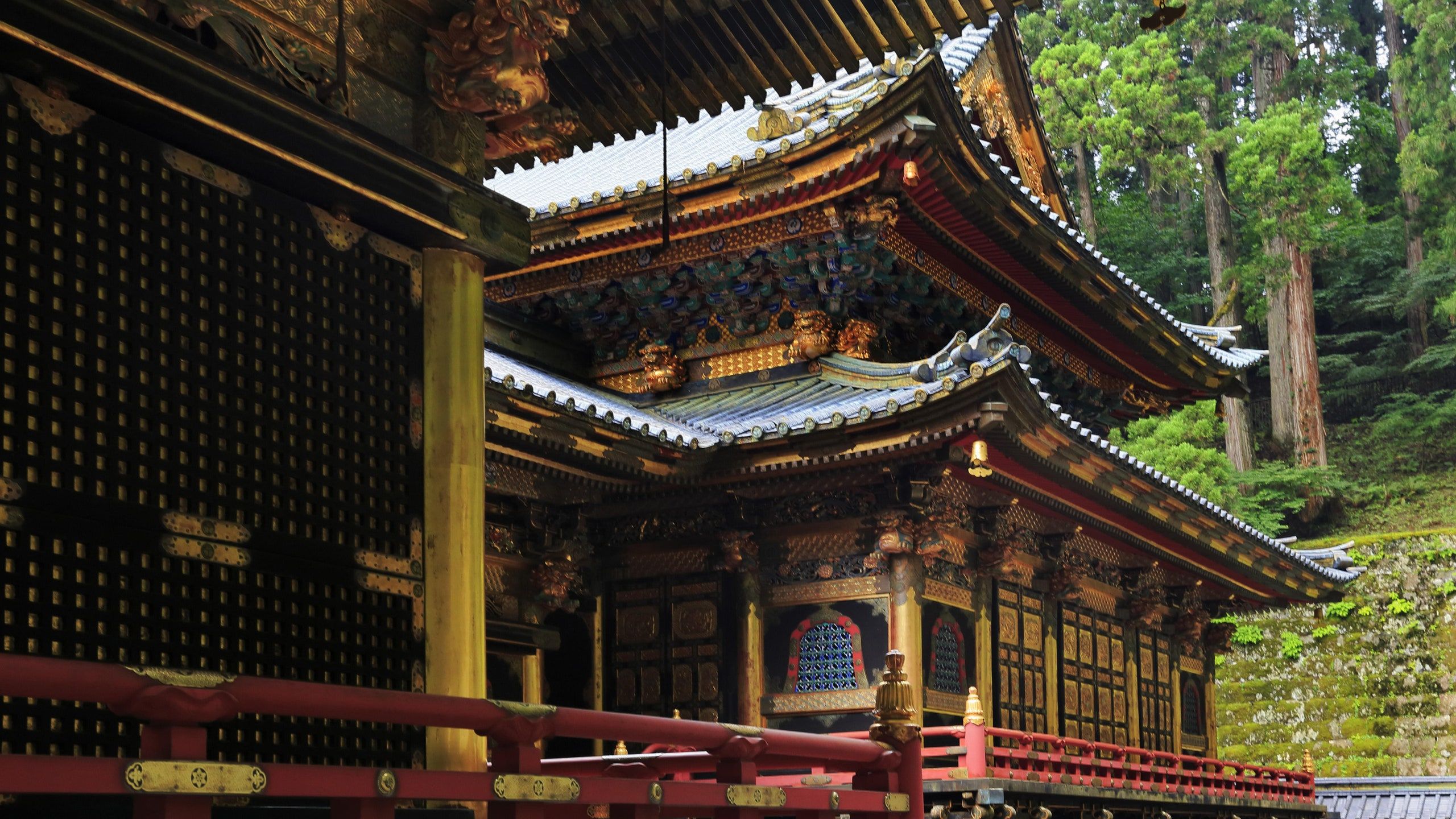 Nikko Wallpapers - Top Free Nikko Backgrounds - WallpaperAccess