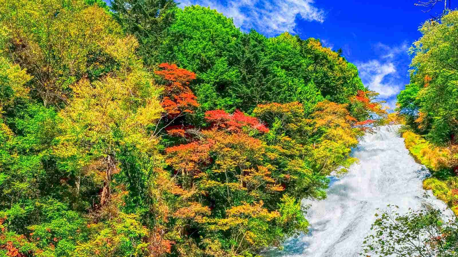 Nikko Wallpapers - Top Free Nikko Backgrounds - WallpaperAccess