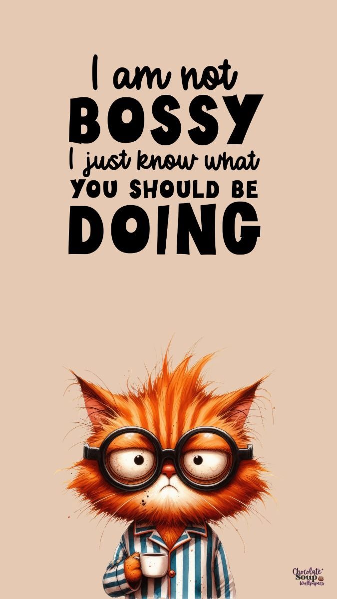 Bossy Wallpapers - Top Free Bossy Backgrounds - WallpaperAccess