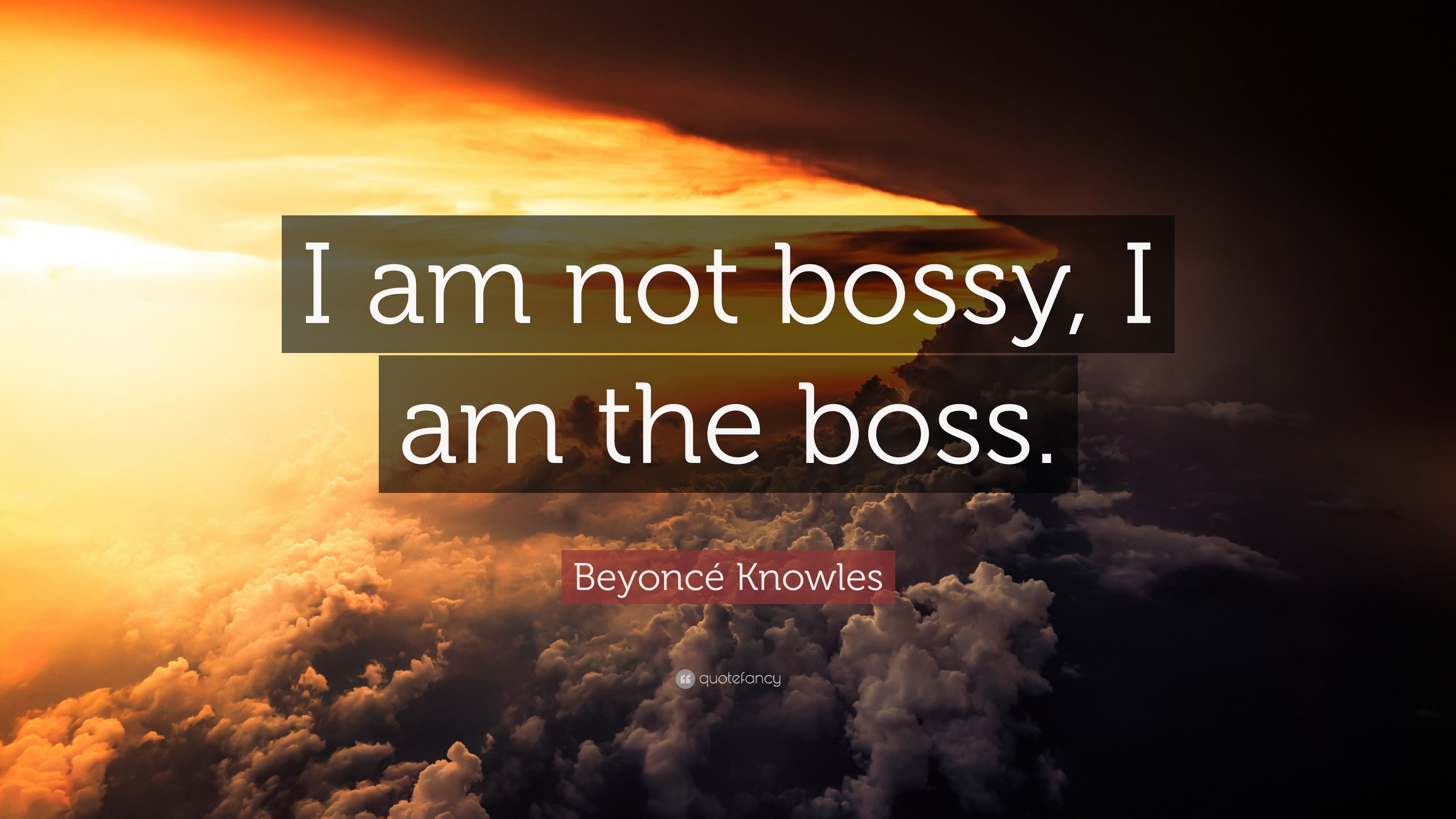 Bossy Wallpapers - Top Free Bossy Backgrounds - WallpaperAccess