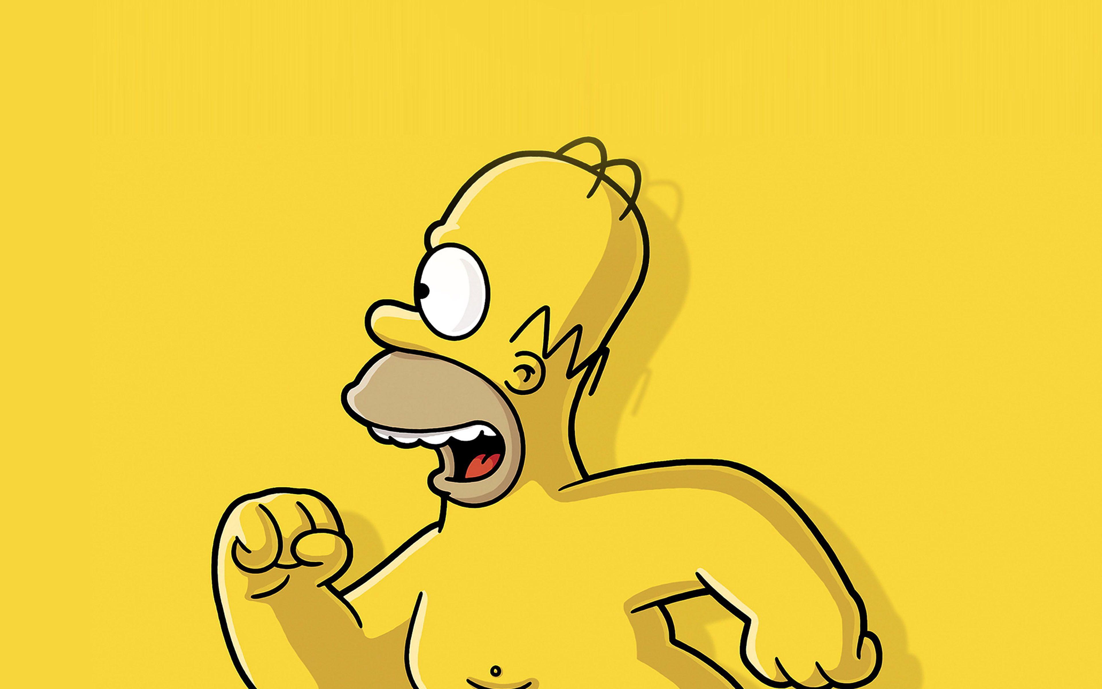 Homer Wallpapers - Top Free Homer Backgrounds - WallpaperAccess