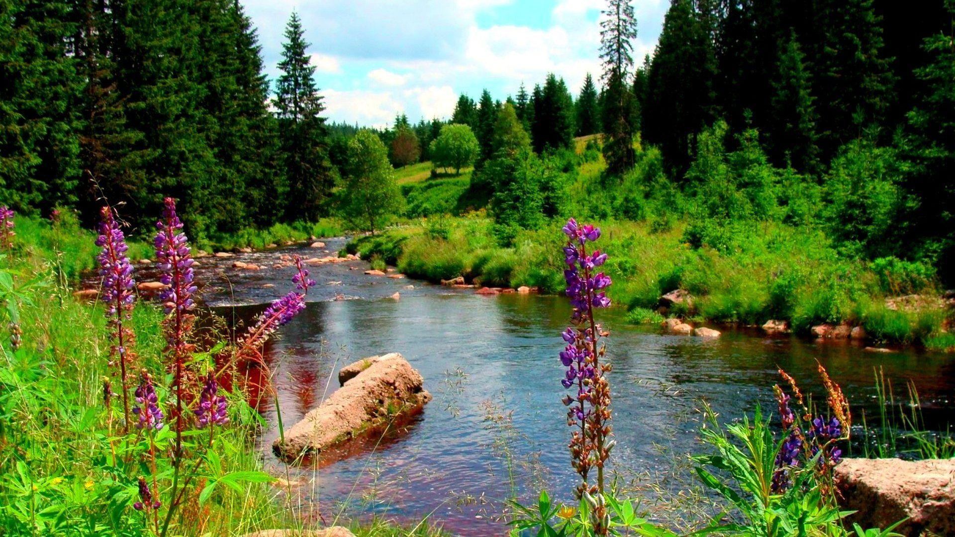 Czech Countryside Wallpapers - Top Free Czech Countryside Backgrounds ...