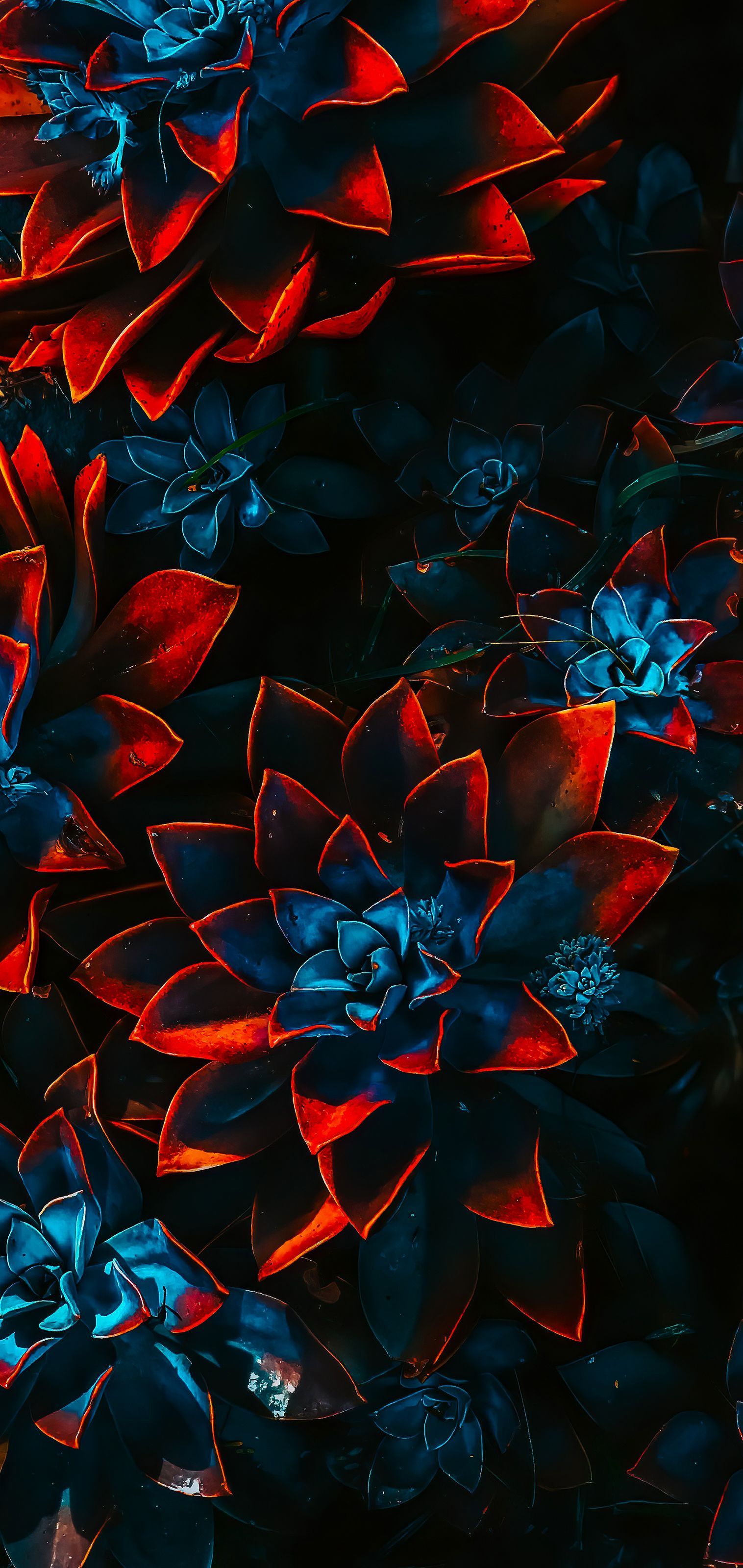 Blackview Wallpapers - Top Free Blackview Backgrounds - WallpaperAccess