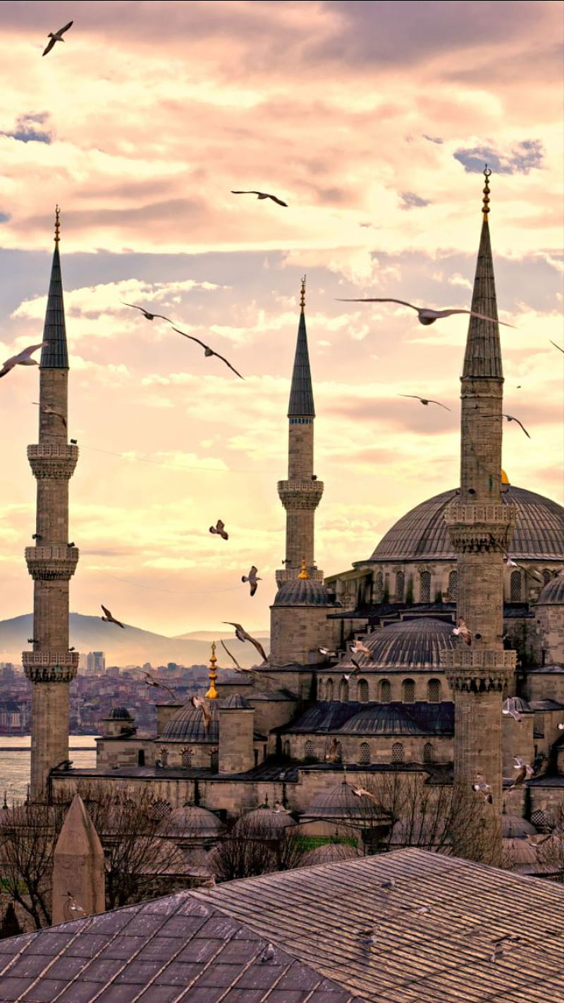 Camii Wallpapers - Top Free Camii Backgrounds - WallpaperAccess