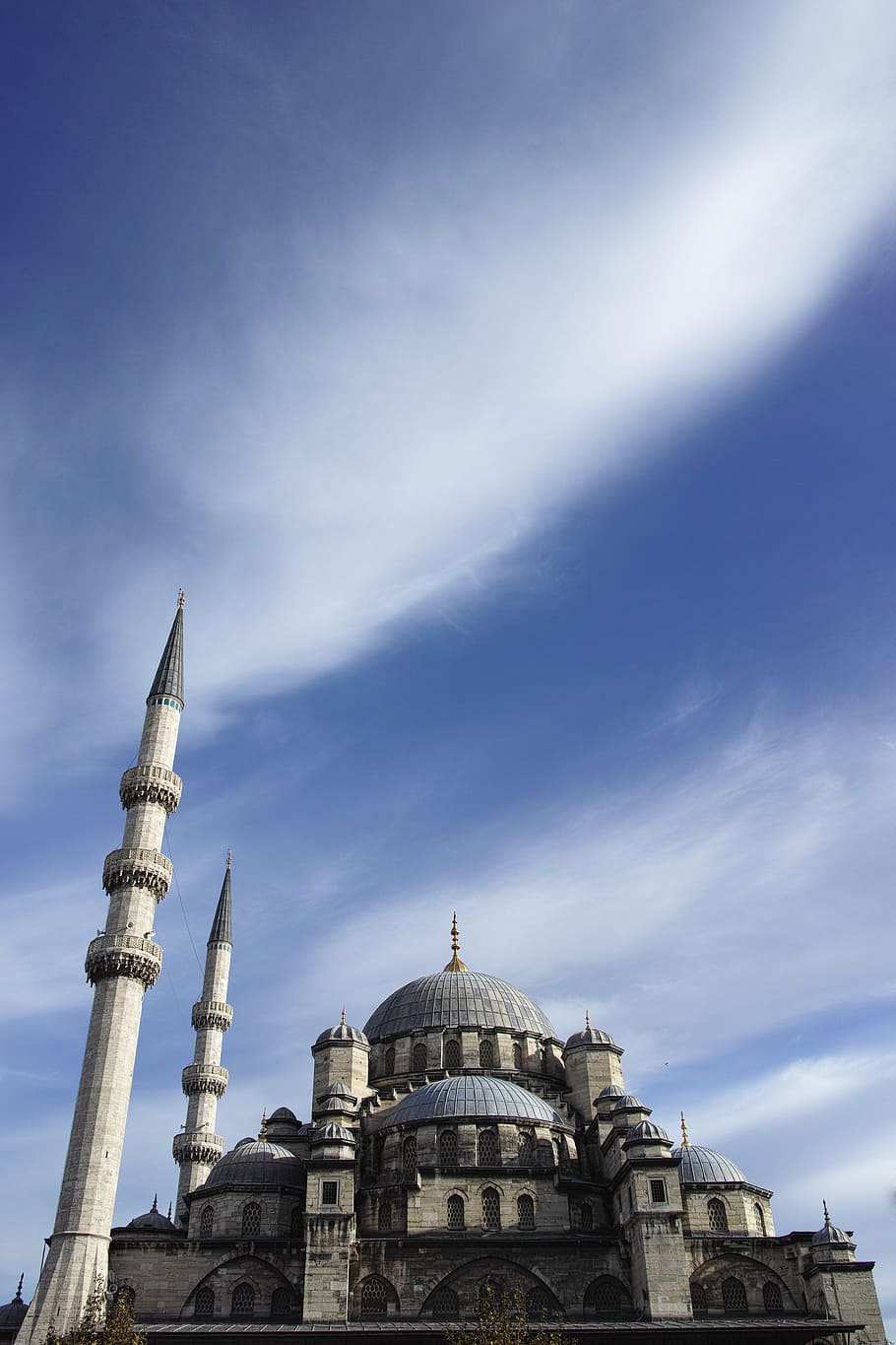Camii Wallpapers - Top Free Camii Backgrounds - WallpaperAccess