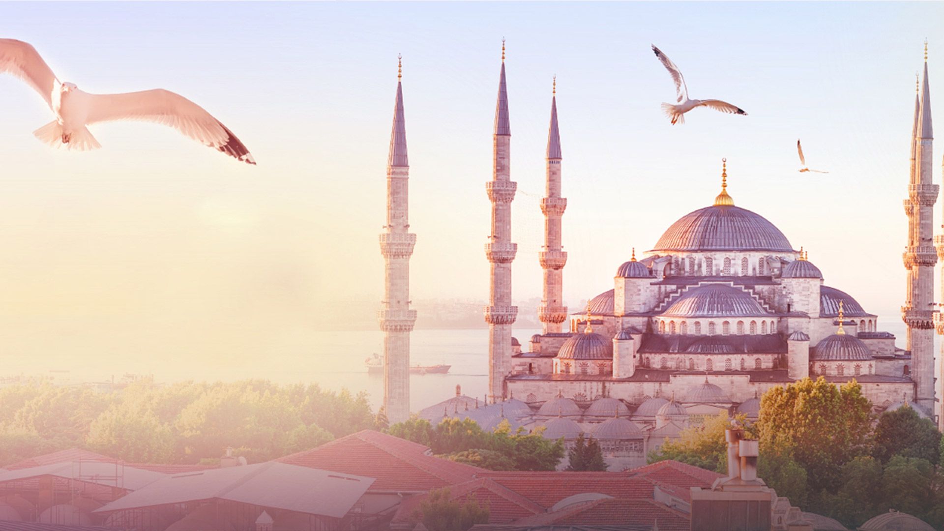 Camii Wallpapers - Top Free Camii Backgrounds - WallpaperAccess