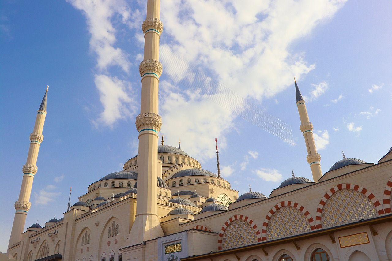 Camii Wallpapers - Top Free Camii Backgrounds - WallpaperAccess