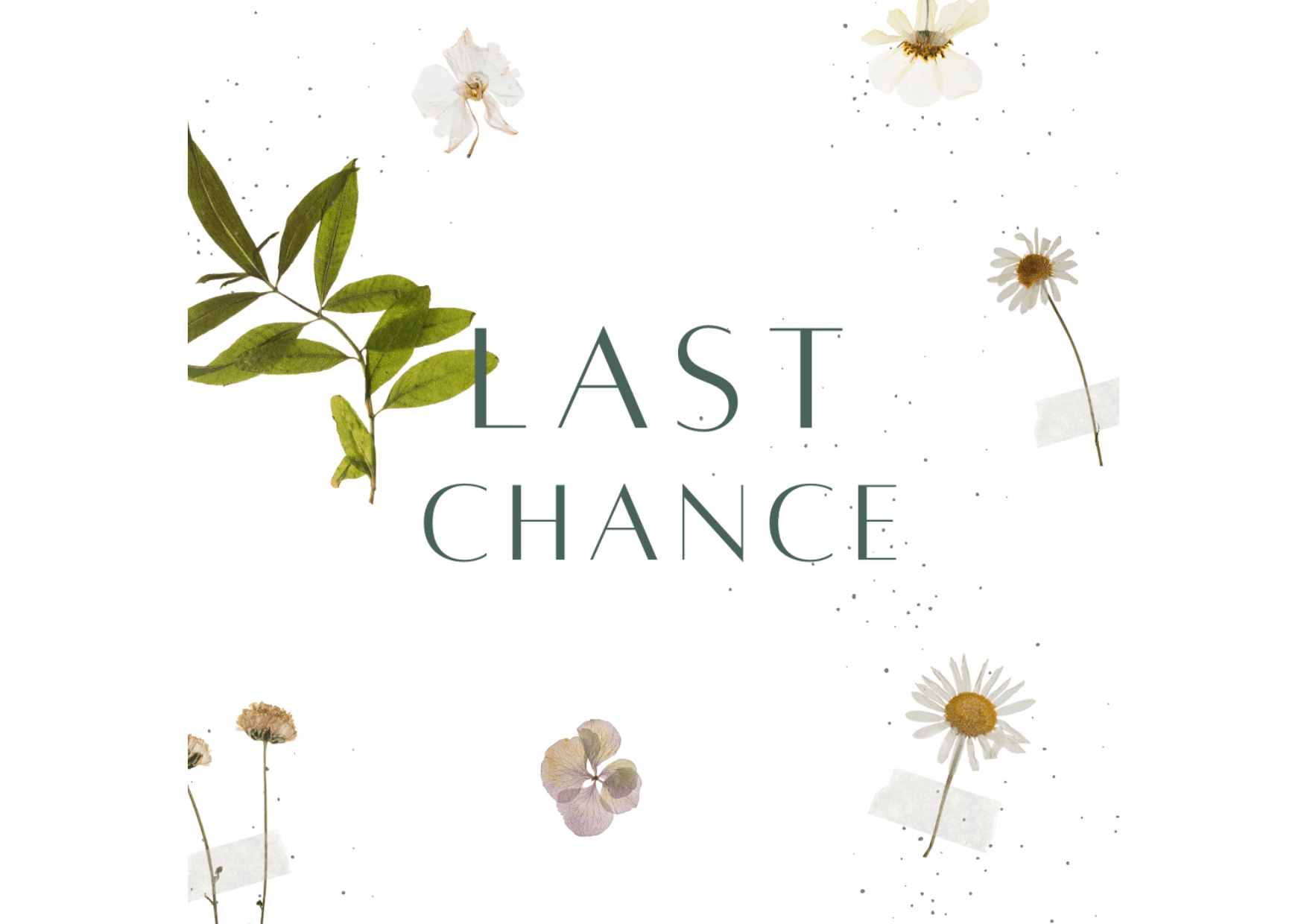 Last Chance Wallpapers - Top Free Last Chance Backgrounds - WallpaperAccess
