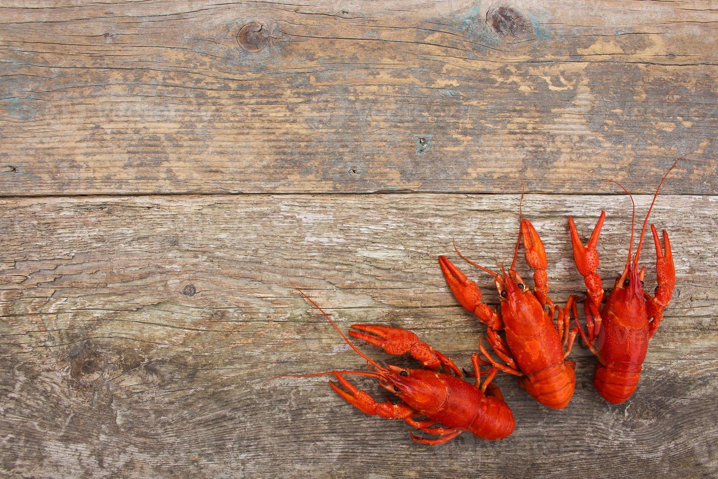 Crawfish Wallpapers - Top Free Crawfish Backgrounds - WallpaperAccess