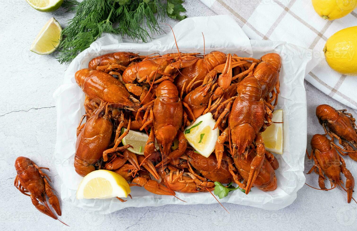 Crawfish Wallpapers - Top Free Crawfish Backgrounds - WallpaperAccess