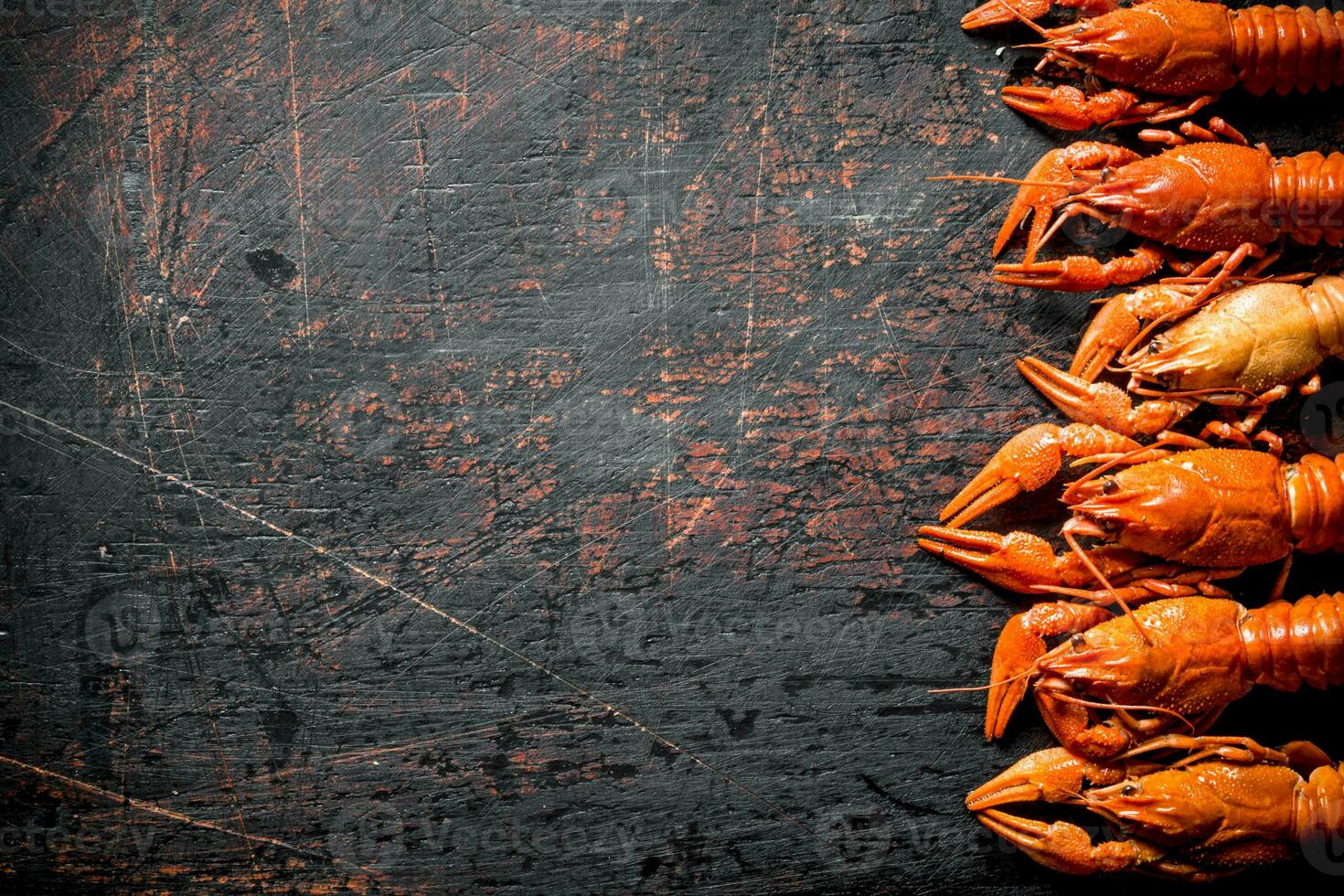 Crawfish Wallpapers - Top Free Crawfish Backgrounds - WallpaperAccess