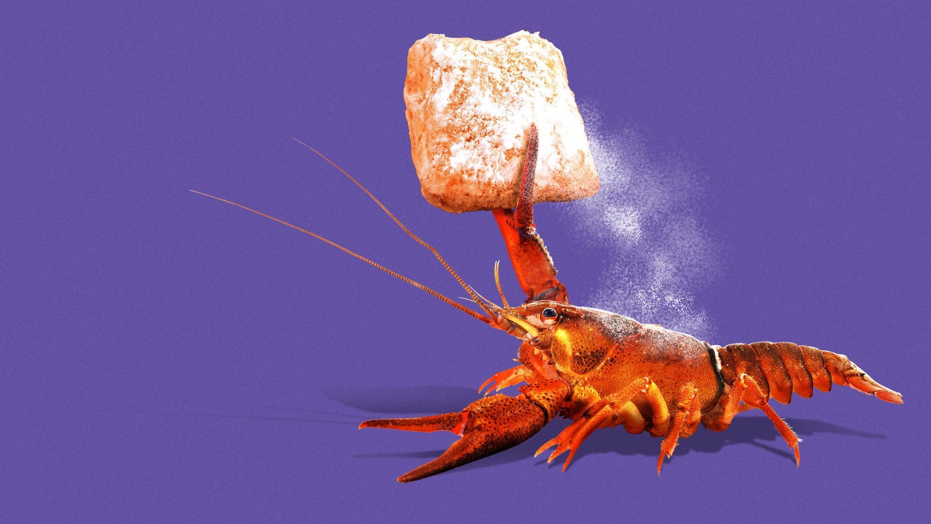 Crawfish Wallpapers - Top Free Crawfish Backgrounds - WallpaperAccess