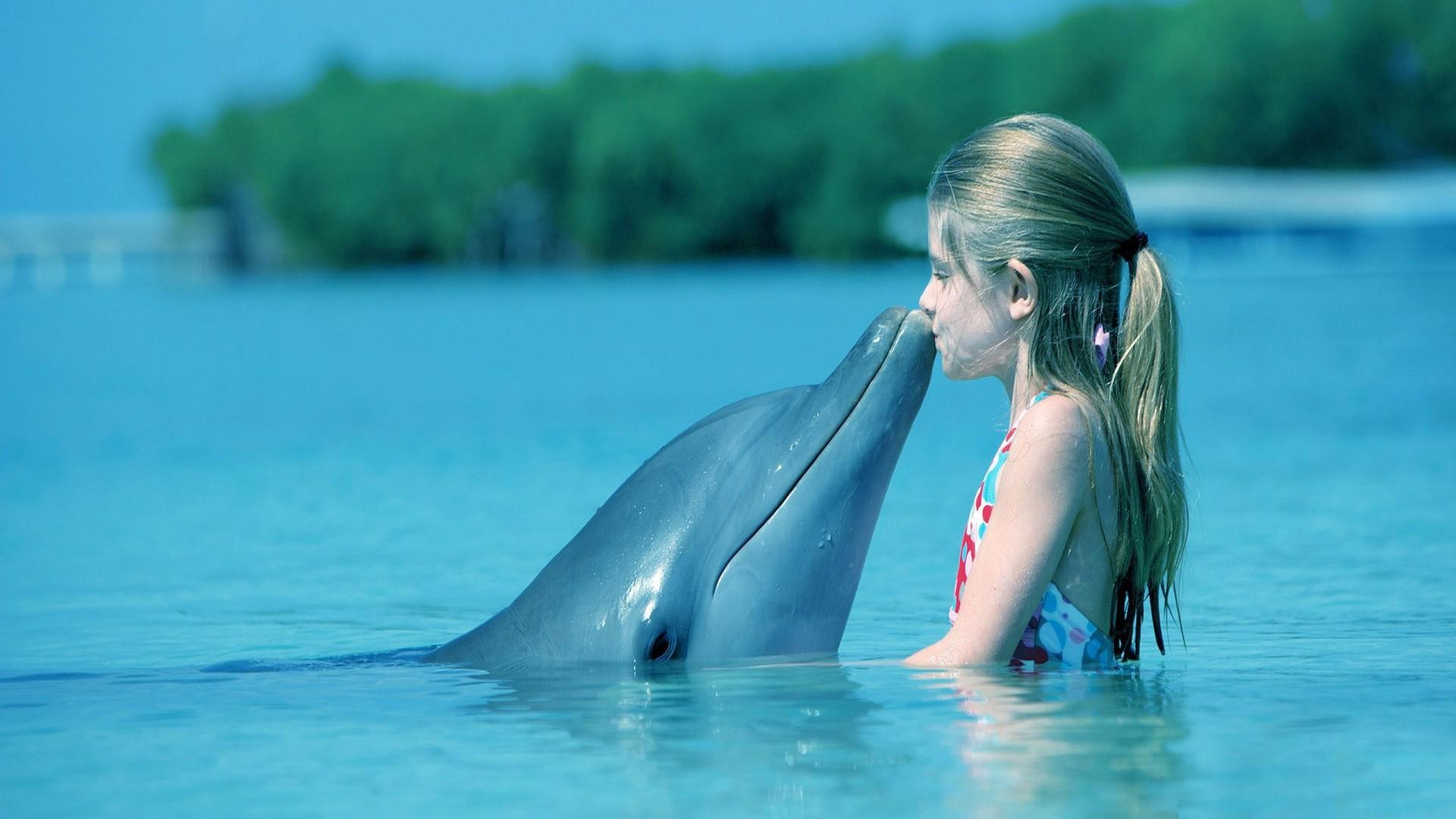Cute Dolphin Desktop Wallpapers - Top Free Cute Dolphin Desktop ...