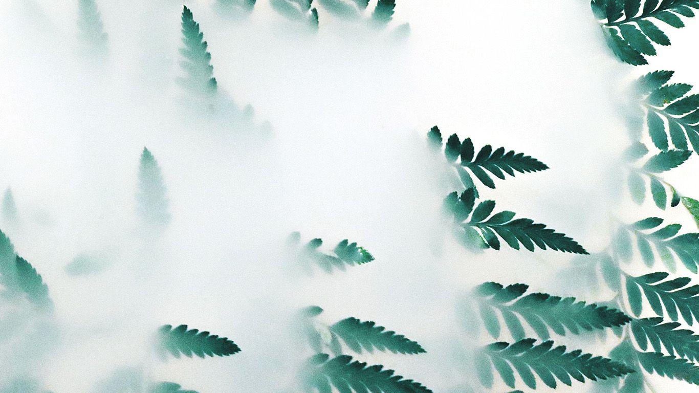 Simple Nature Desktop Wallpapers - Top Free Simple Nature Desktop ...