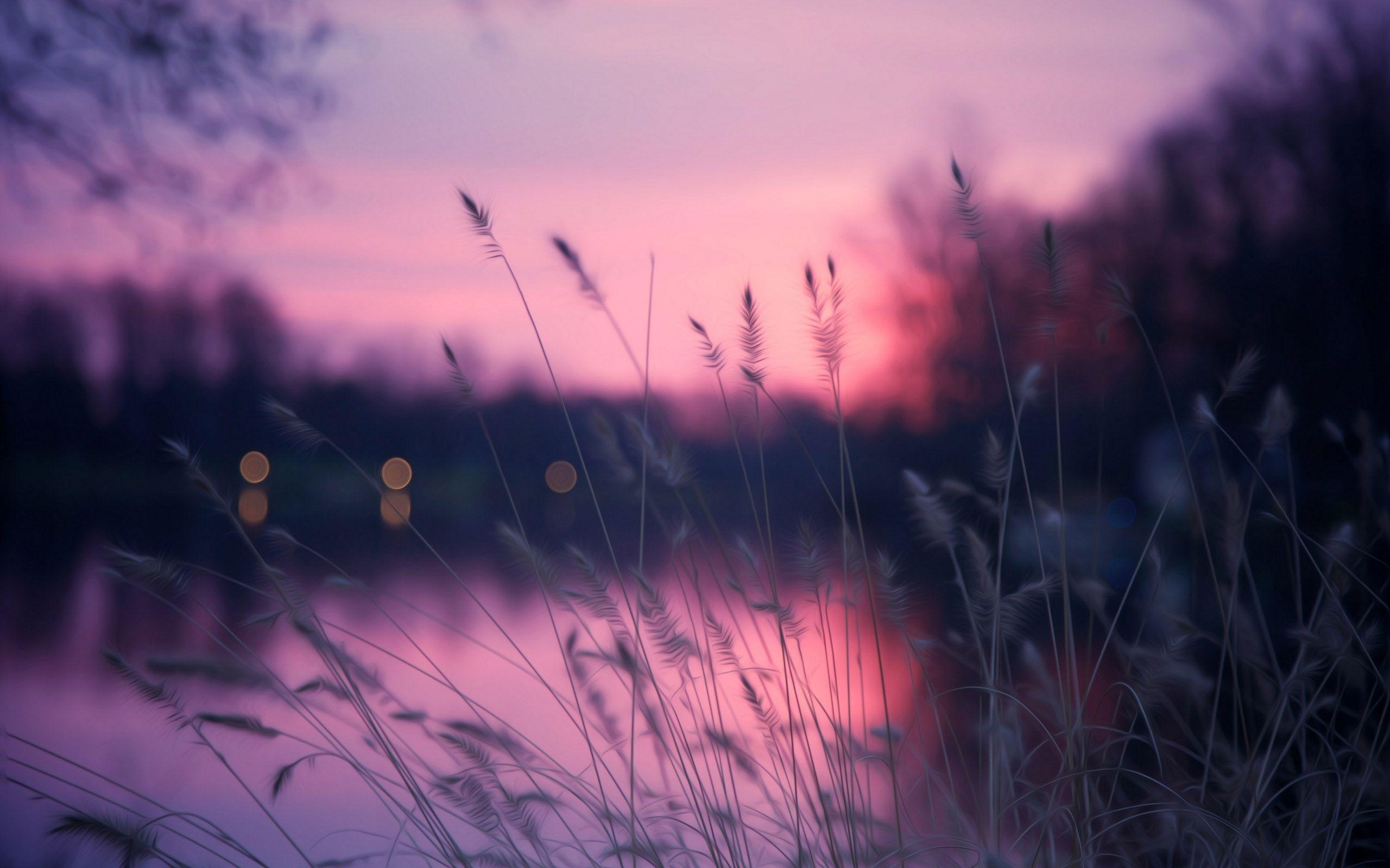 Simple Nature Desktop Wallpapers - Top Free Simple Nature Desktop ...