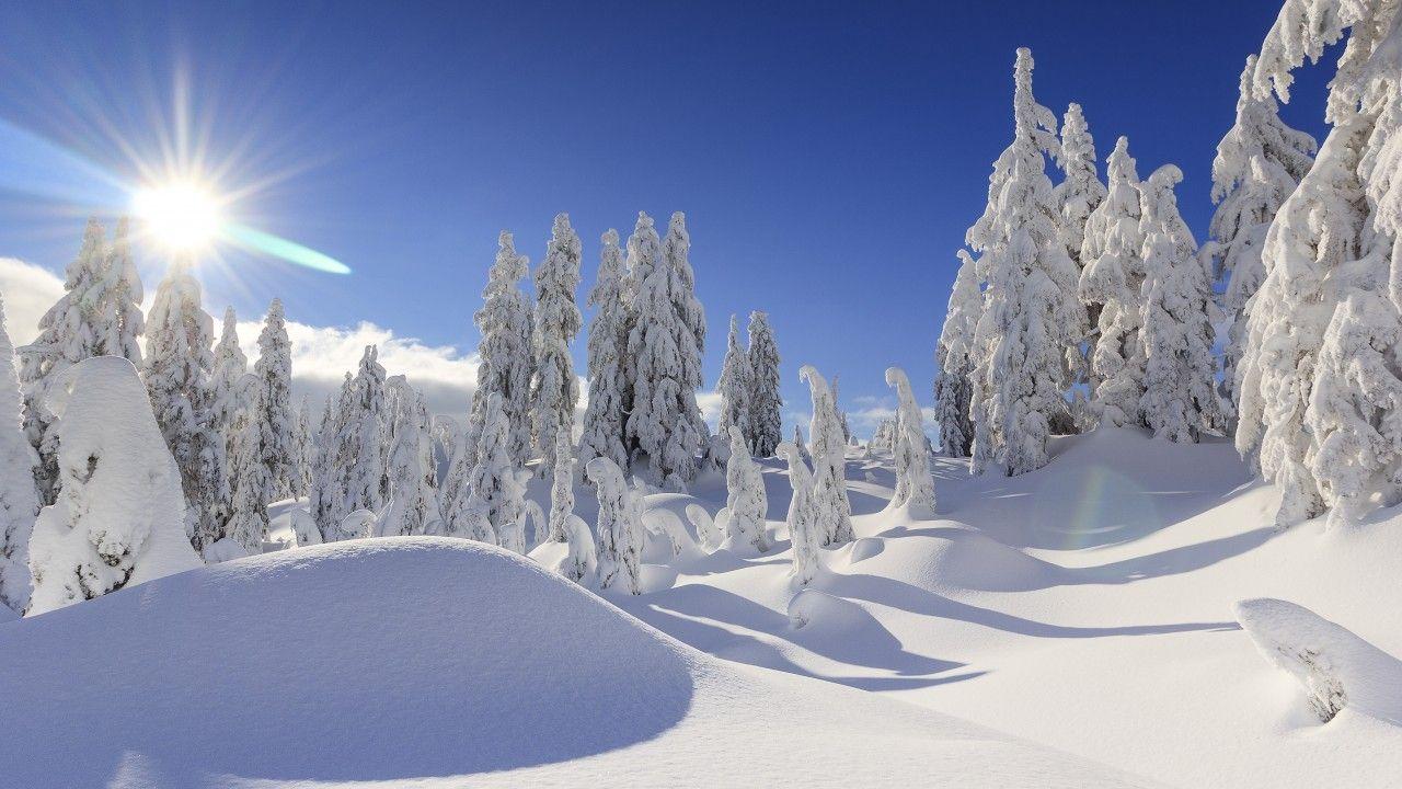 4K Snow Wallpapers - Top Free 4K Snow Backgrounds - WallpaperAccess