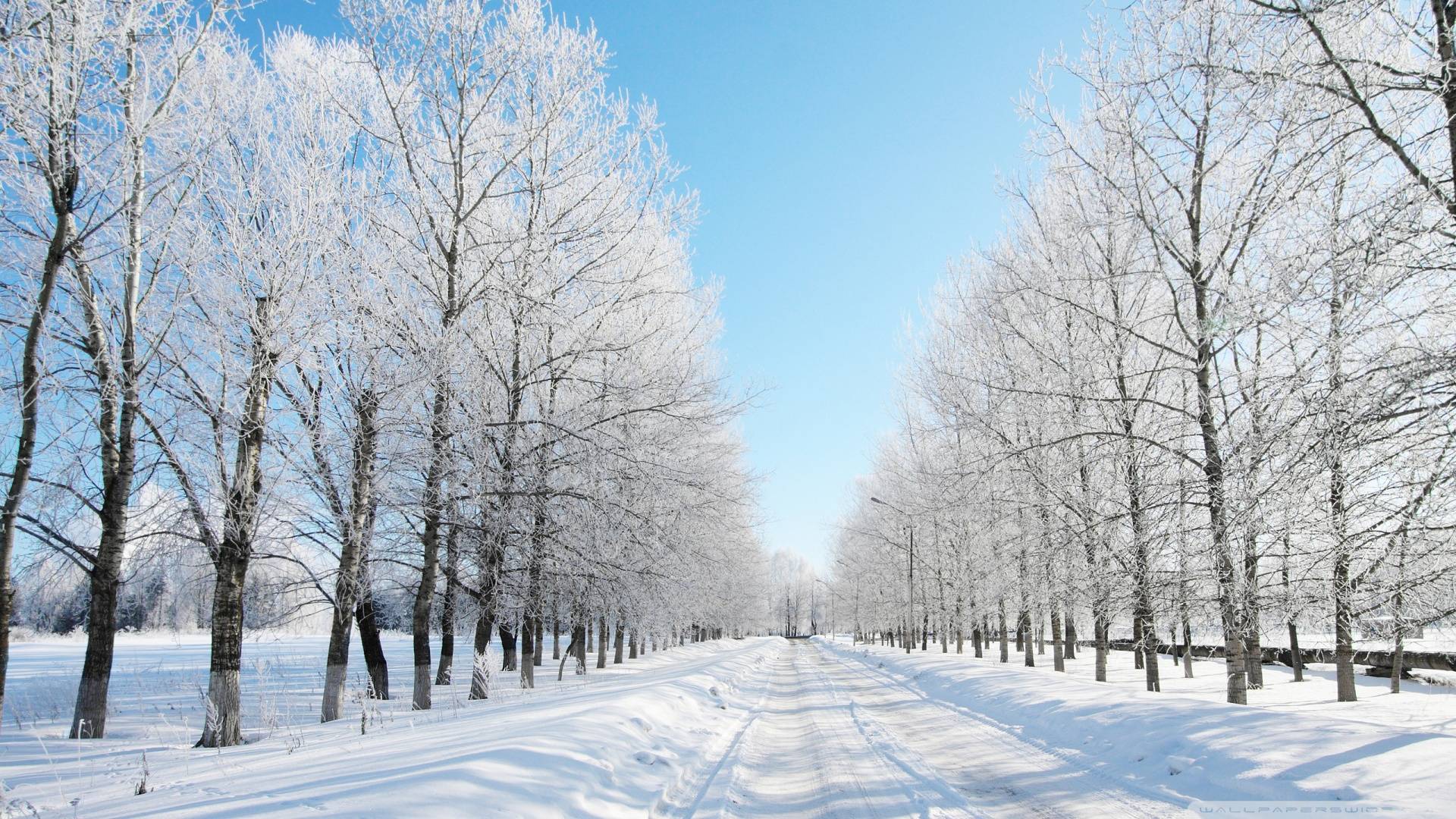 4K Snow Wallpapers - Top Free 4K Snow Backgrounds - WallpaperAccess