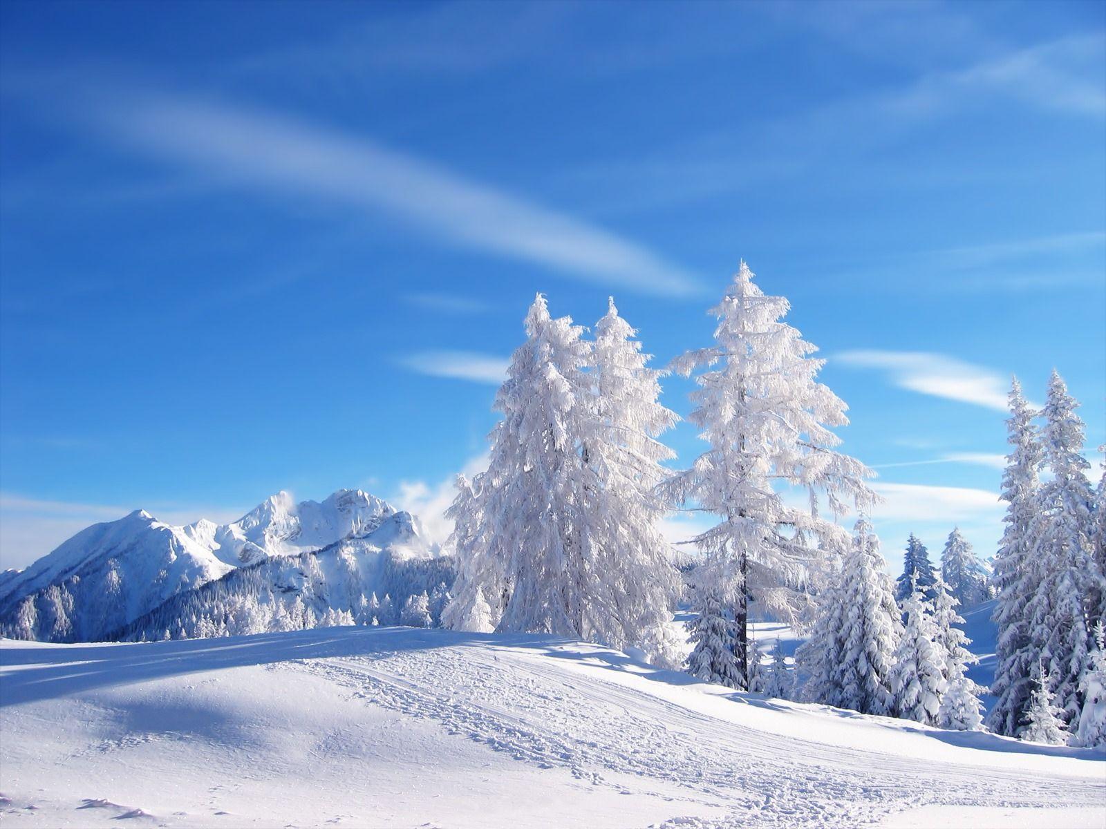 4K Snow Wallpapers - Top Free 4K Snow Backgrounds - WallpaperAccess