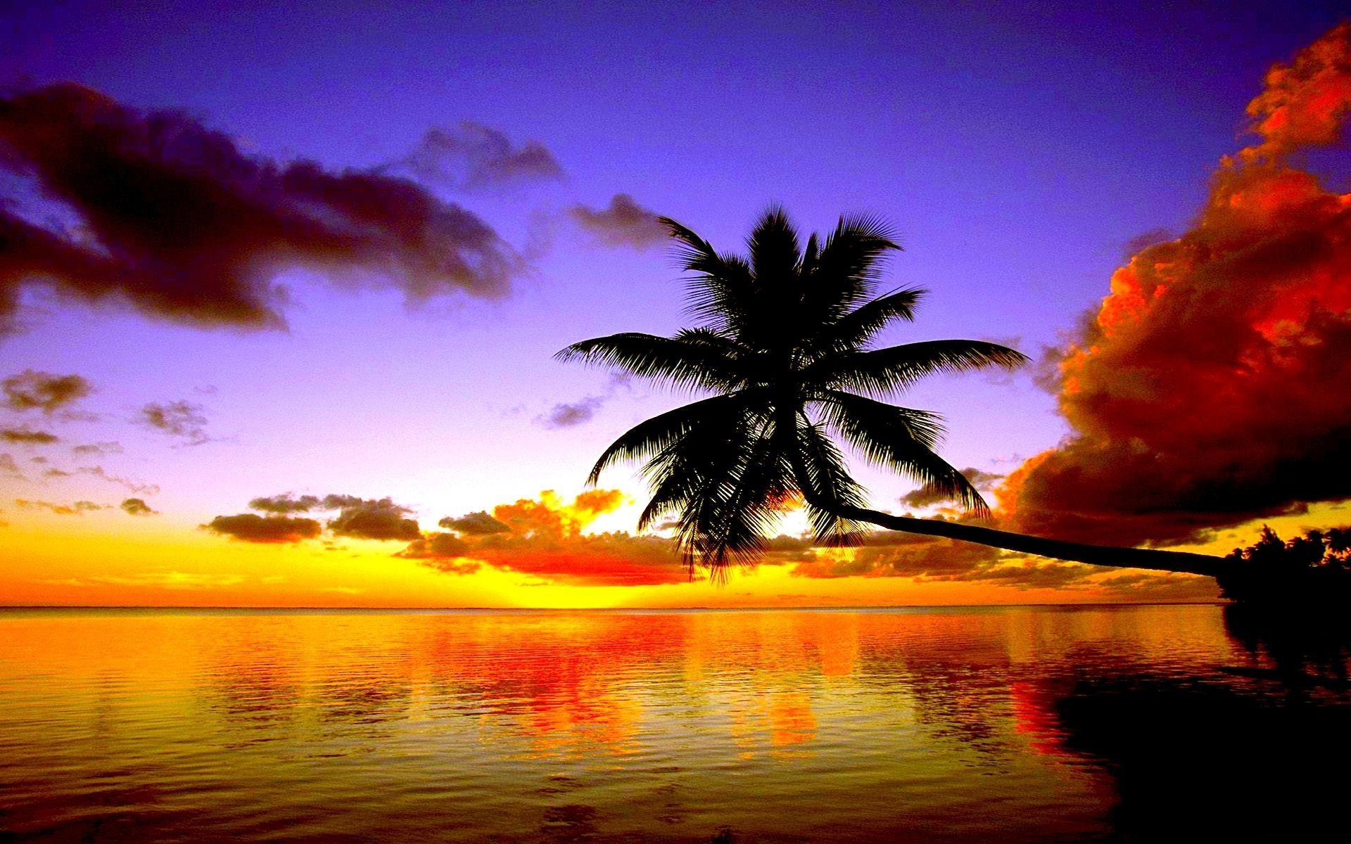 Tropical Beach Sunset Wallpapers - Top Free Tropical Beach Sunset ...