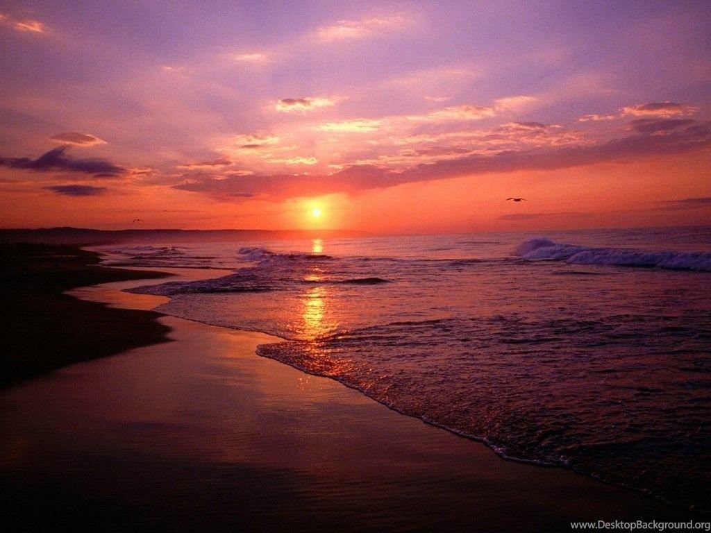 California Beach Sunset Wallpapers - Top Free California Beach Sunset ...