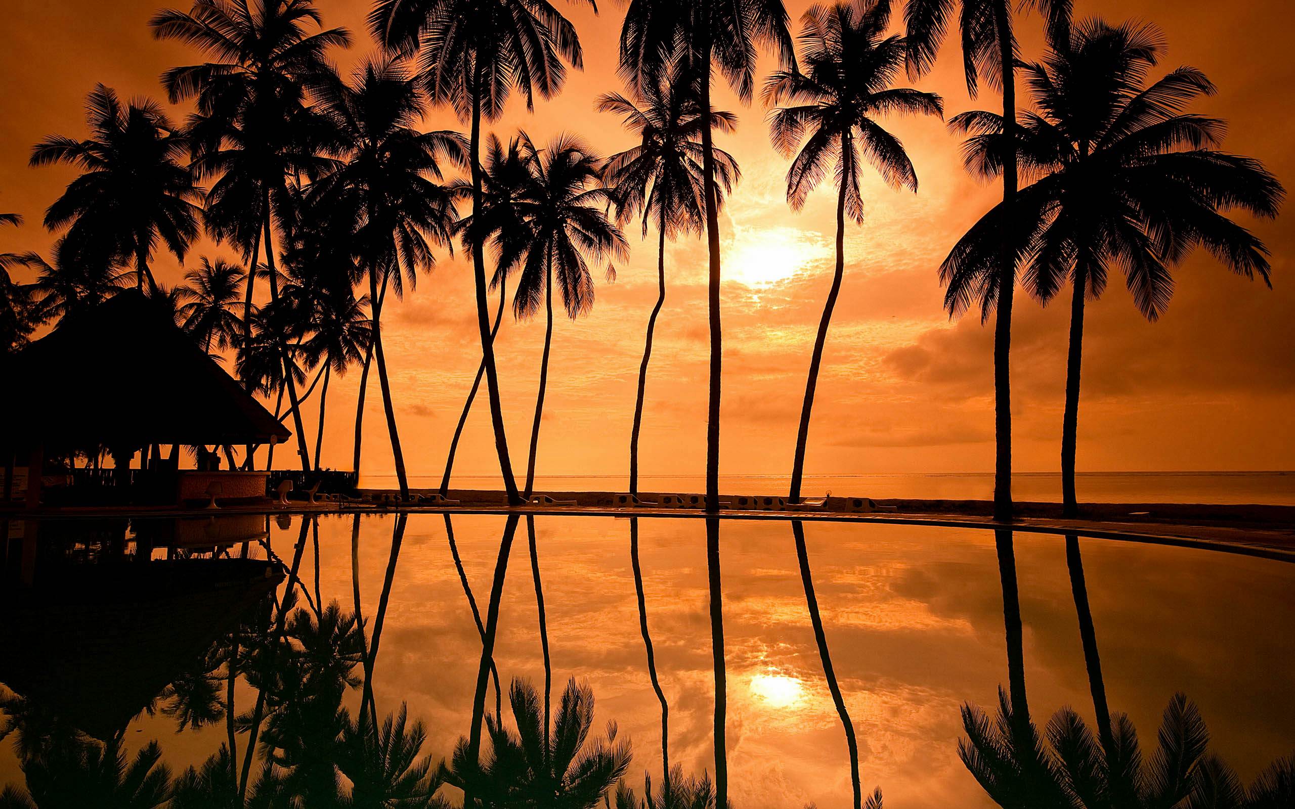 Hawaii Beach Sunset Wallpapers - Top Free Hawaii Beach Sunset ...