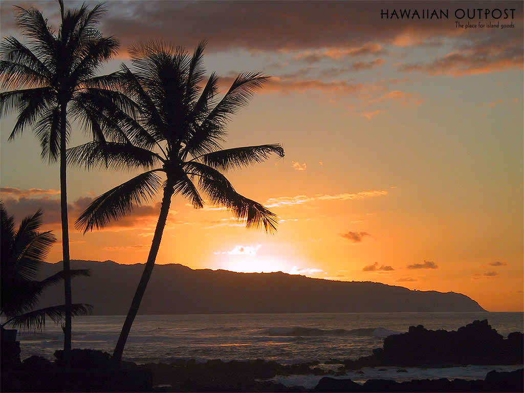 Hawaii Beach Sunset Wallpapers - Top Free Hawaii Beach Sunset ...