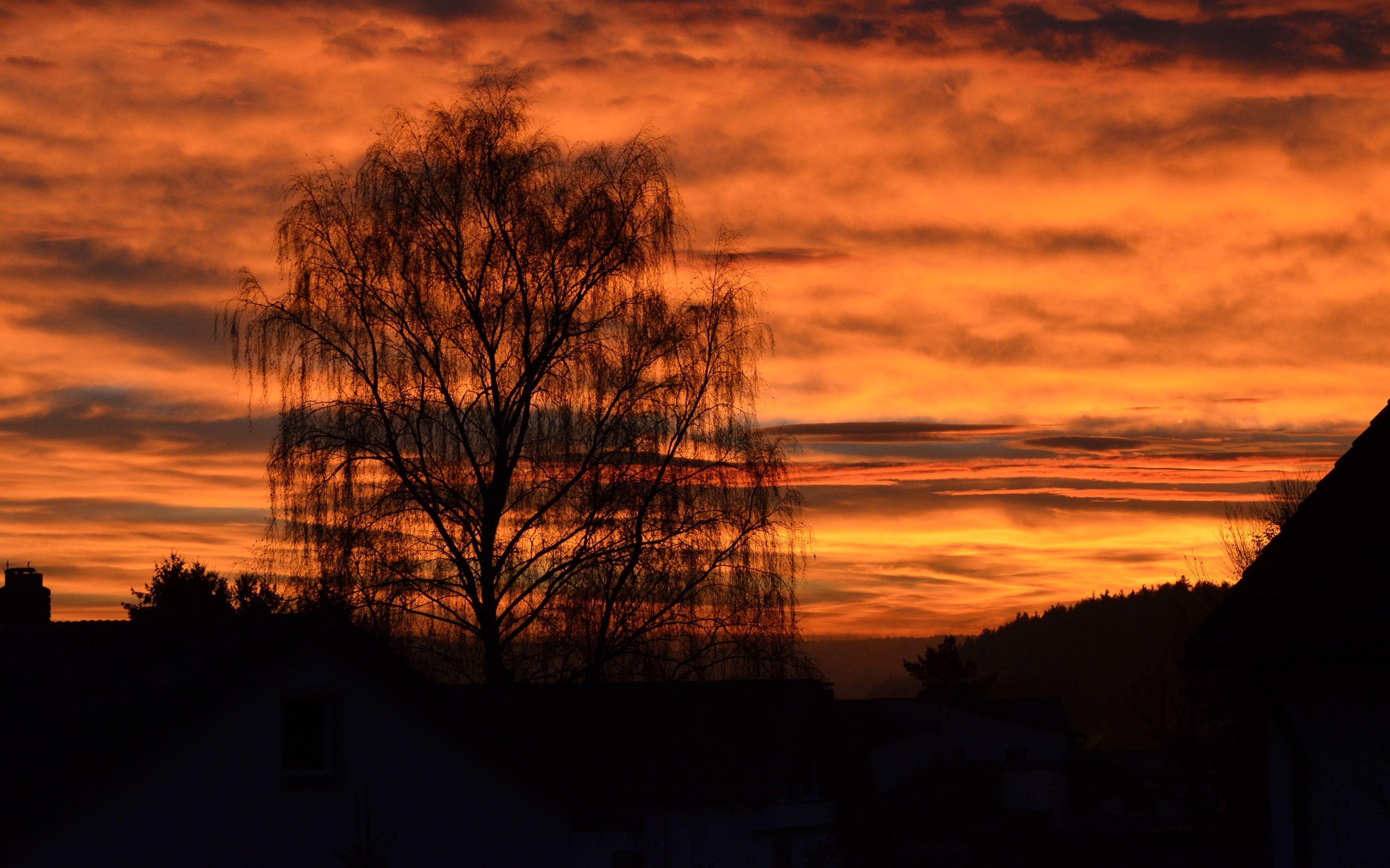 Autumn Sunset Wallpapers - Top Free Autumn Sunset Backgrounds ...