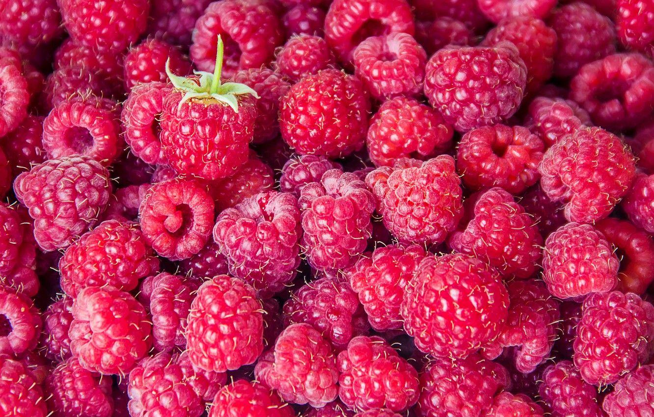 Raspberry Wallpapers - Top Free Raspberry Backgrounds - WallpaperAccess