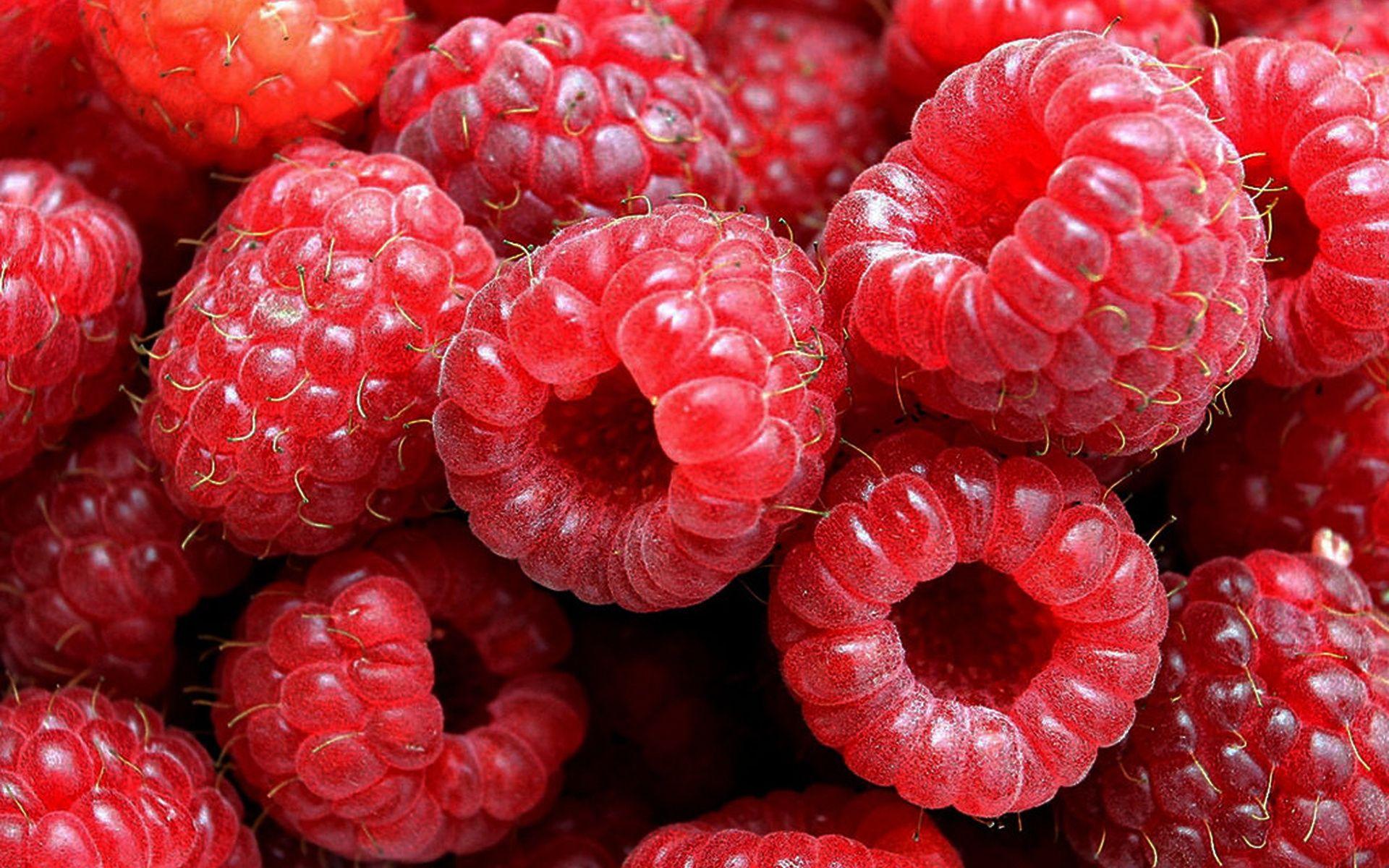 Raspberry Wallpapers - Top Free Raspberry Backgrounds - WallpaperAccess