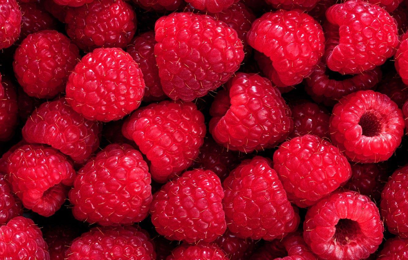 Raspberry Wallpapers - Top Free Raspberry Backgrounds - WallpaperAccess