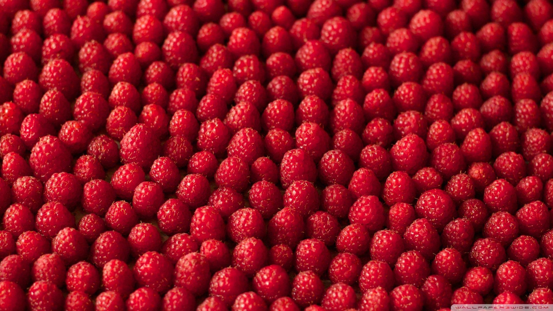 Raspberry Wallpapers - Top Free Raspberry Backgrounds - WallpaperAccess