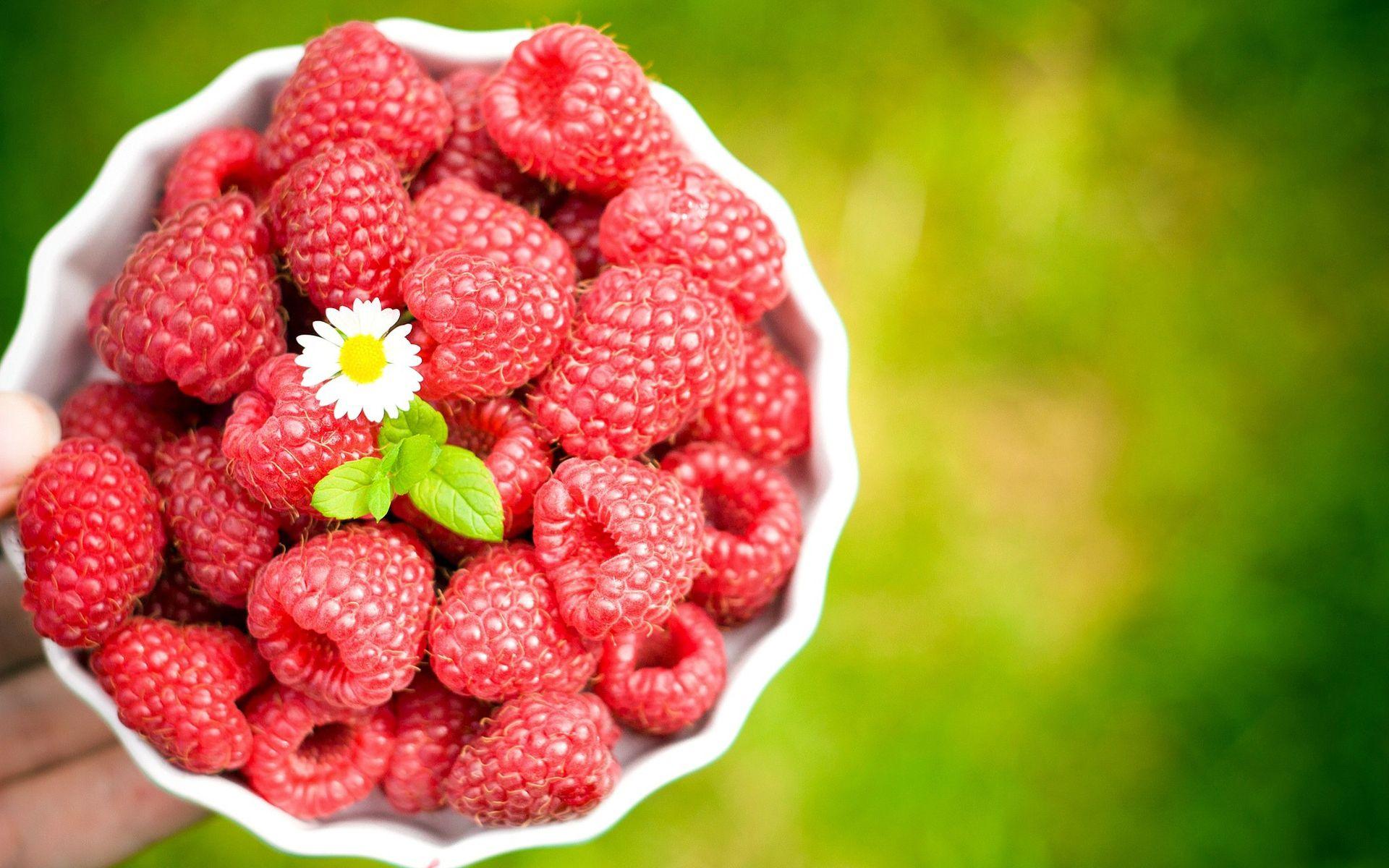 Raspberry Wallpapers - Top Free Raspberry Backgrounds - WallpaperAccess