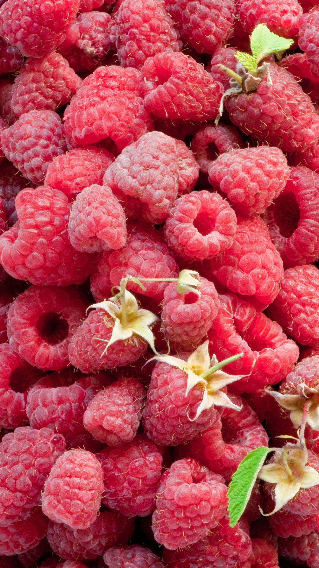 Raspberry Wallpapers - Top Free Raspberry Backgrounds - WallpaperAccess