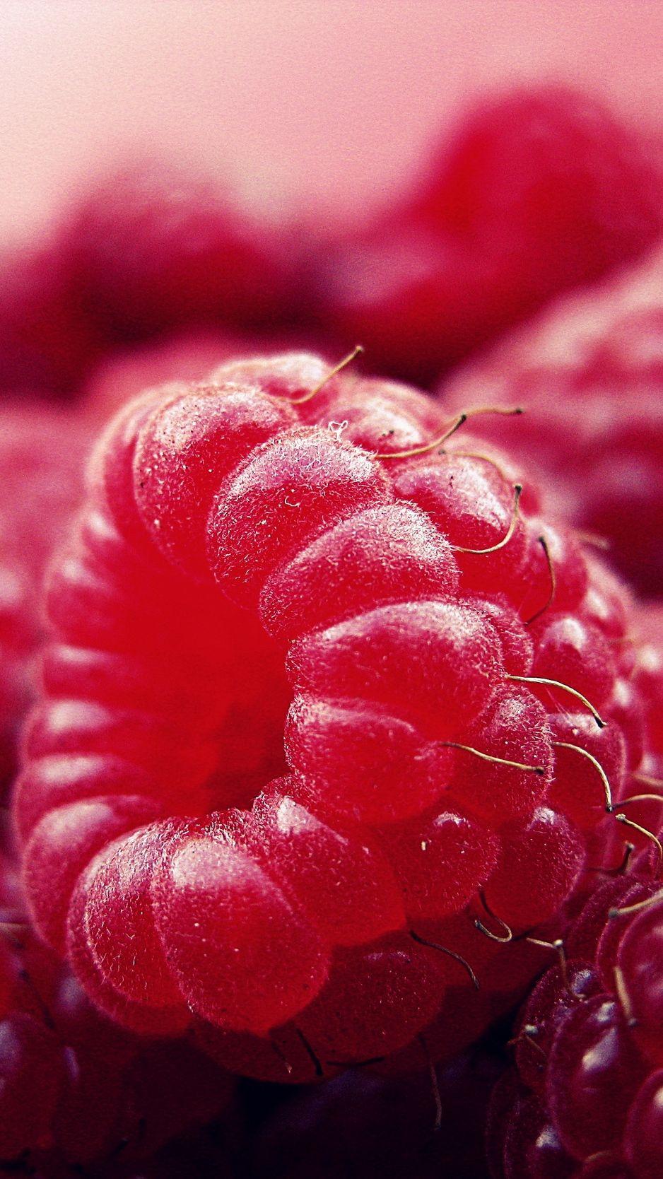 Raspberry Wallpapers - Top Free Raspberry Backgrounds - WallpaperAccess
