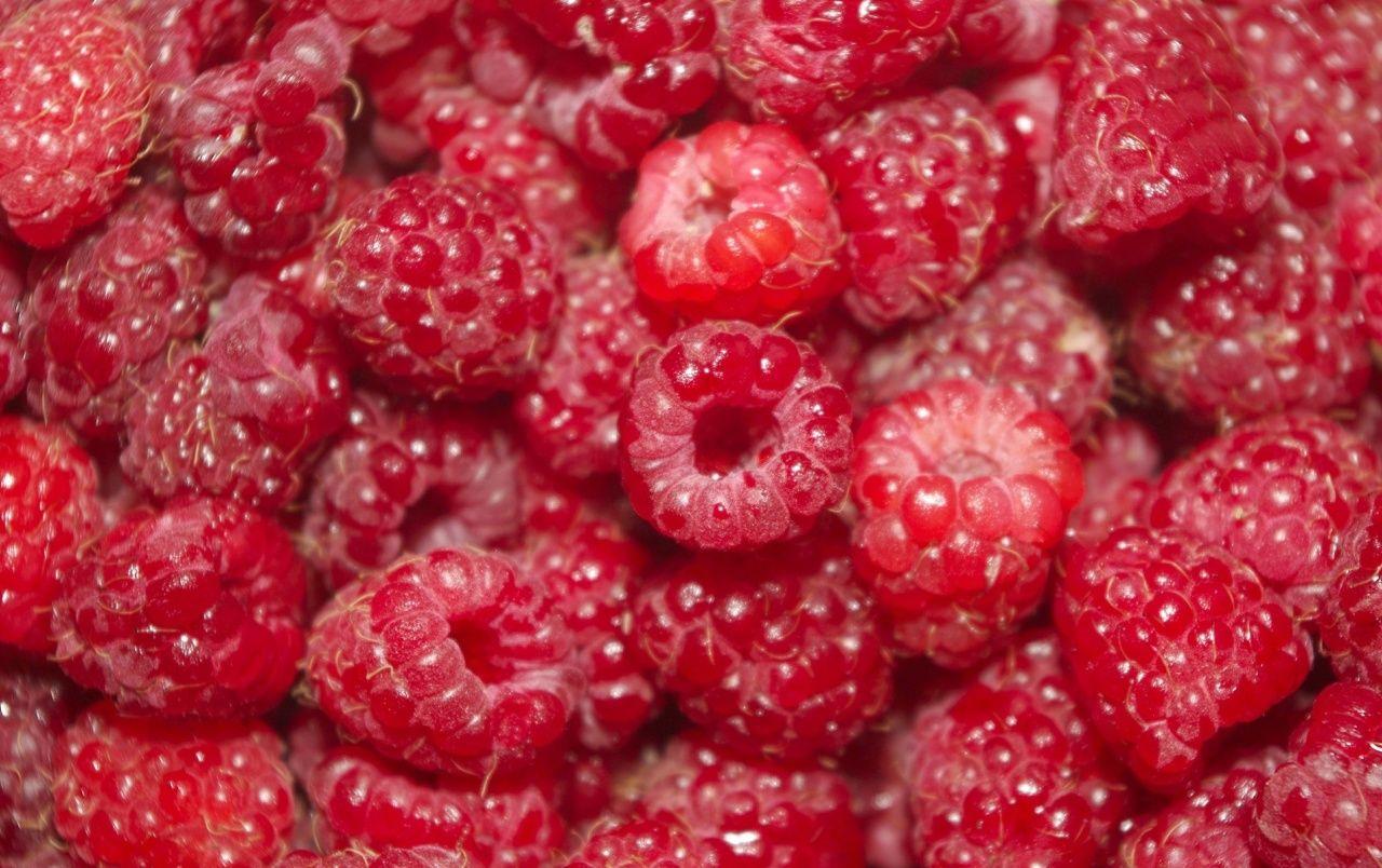 Raspberry Wallpapers - Top Free Raspberry Backgrounds - WallpaperAccess