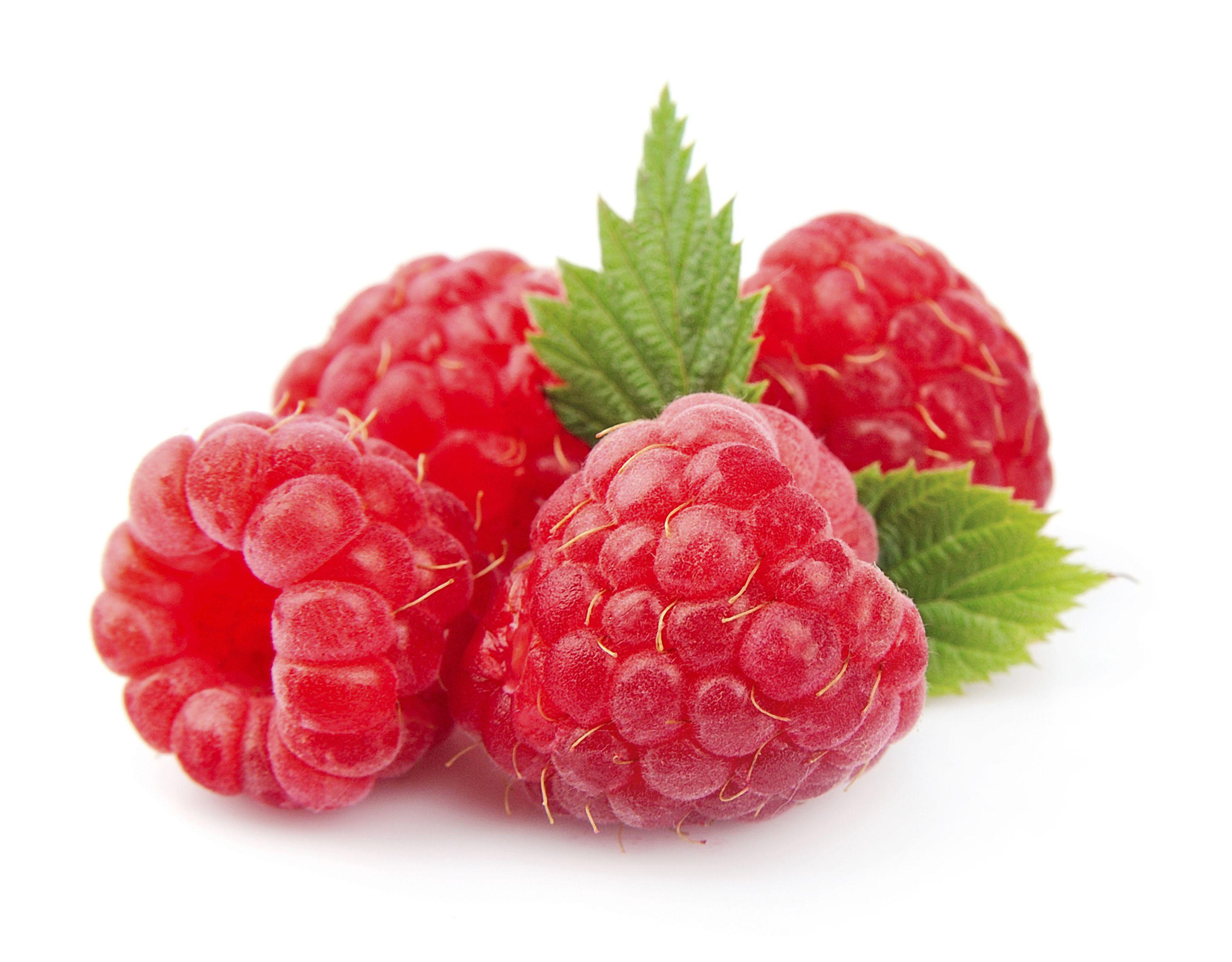 Raspberry Wallpapers - Top Free Raspberry Backgrounds - WallpaperAccess
