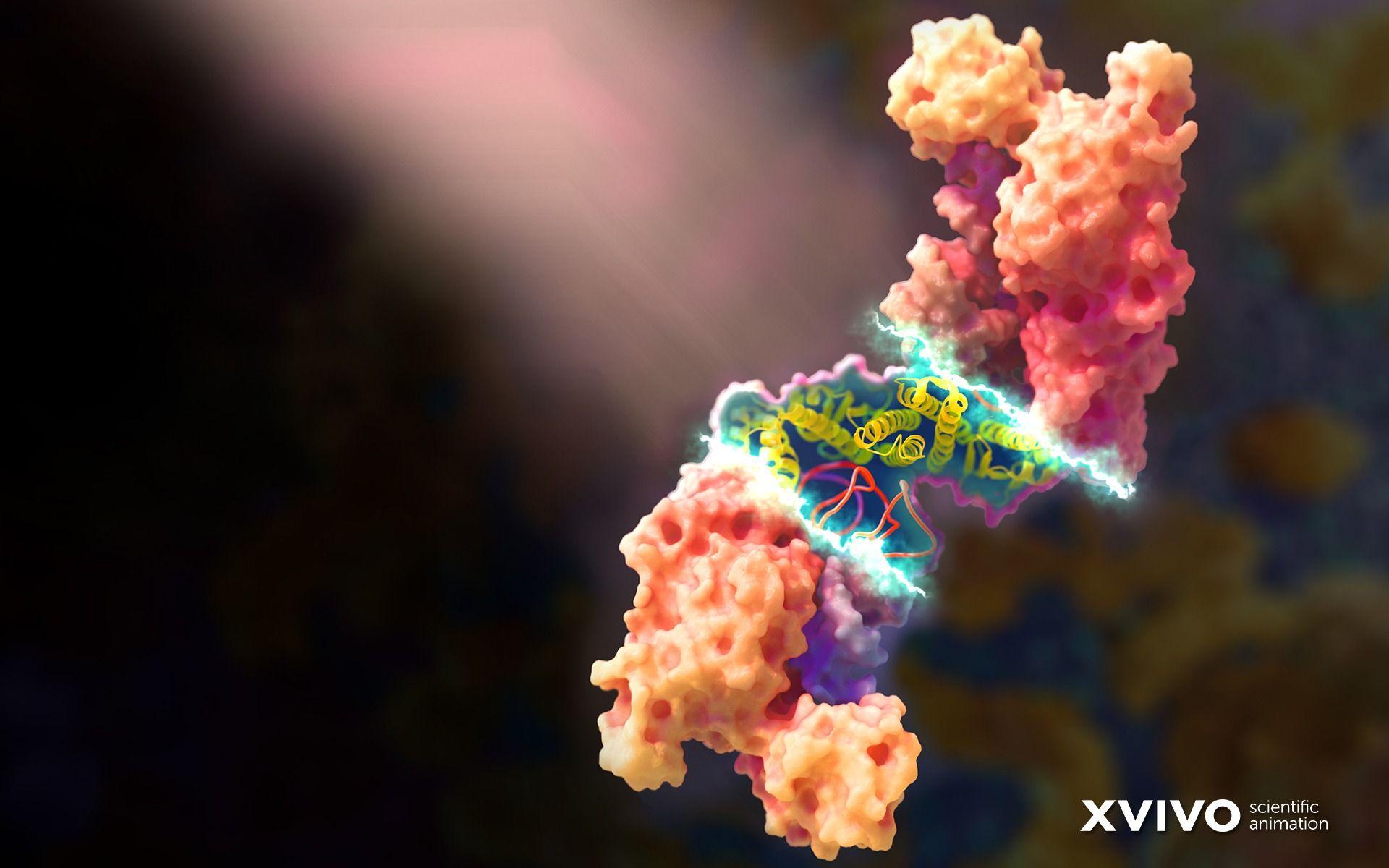 Beautiful Science Wallpapers - Top Free Beautiful Science Backgrounds ...