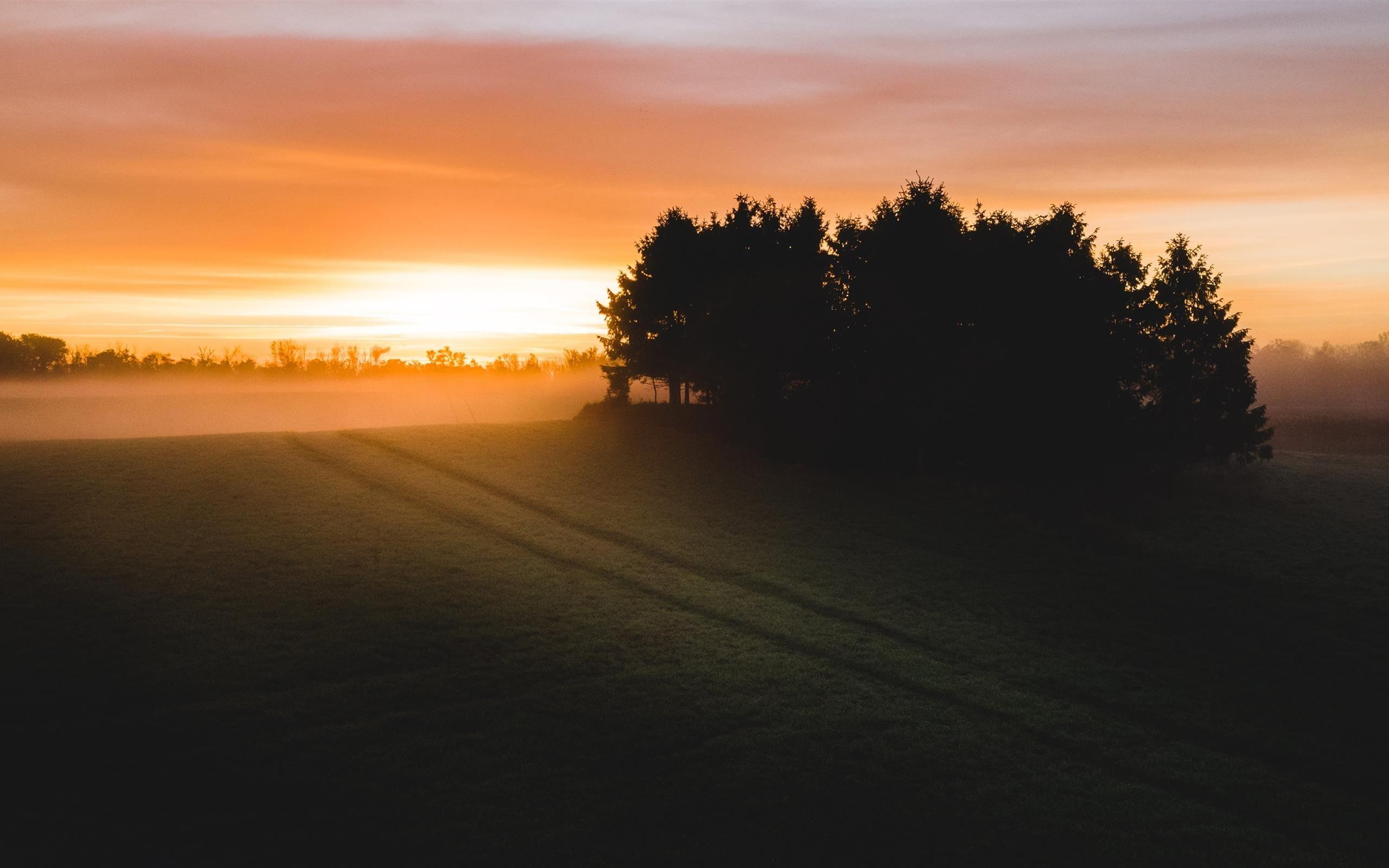 Golden Hour Wallpapers - Top Free Golden Hour Backgrounds - WallpaperAccess