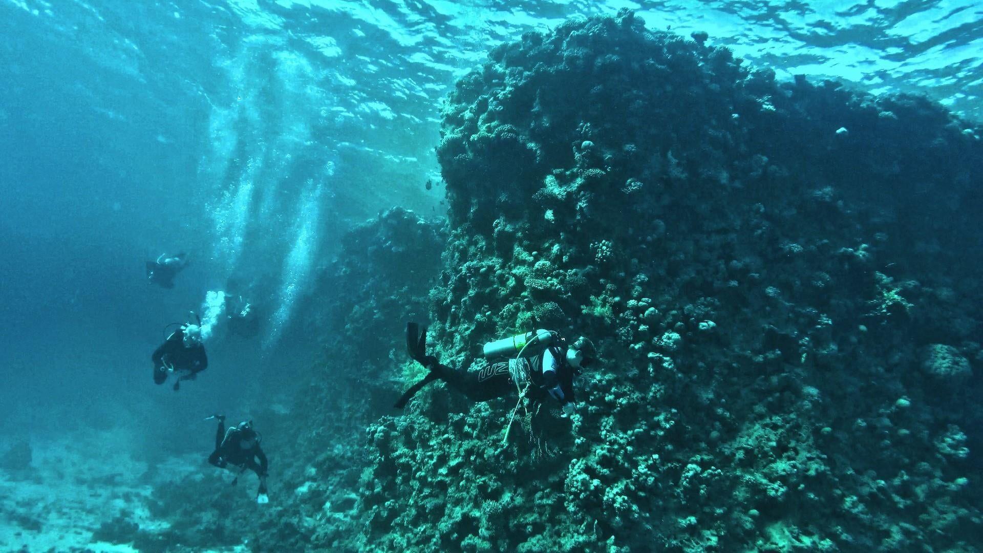 Hurghada Wallpapers - Top Free Hurghada Backgrounds - WallpaperAccess