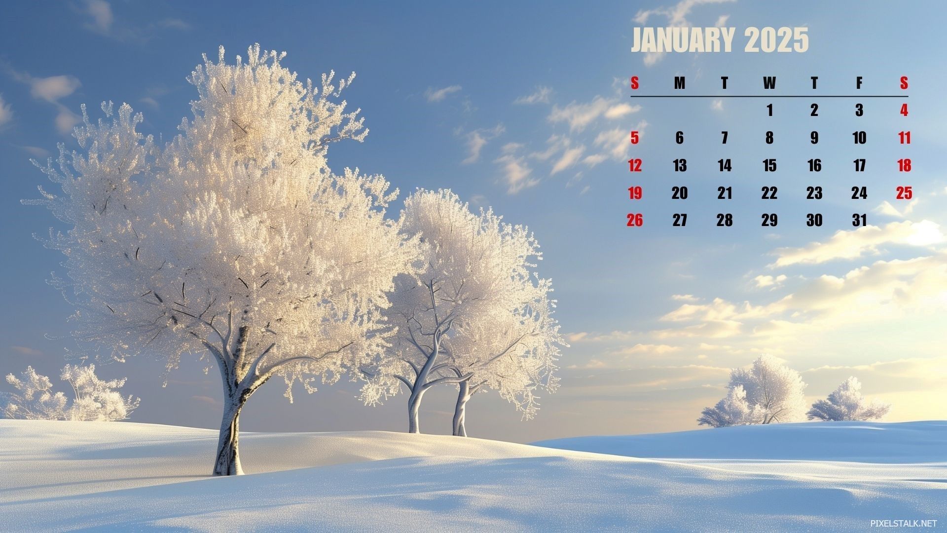 January 2025 Calendar Wallpapers - Top Free January 2025 Calendar ...