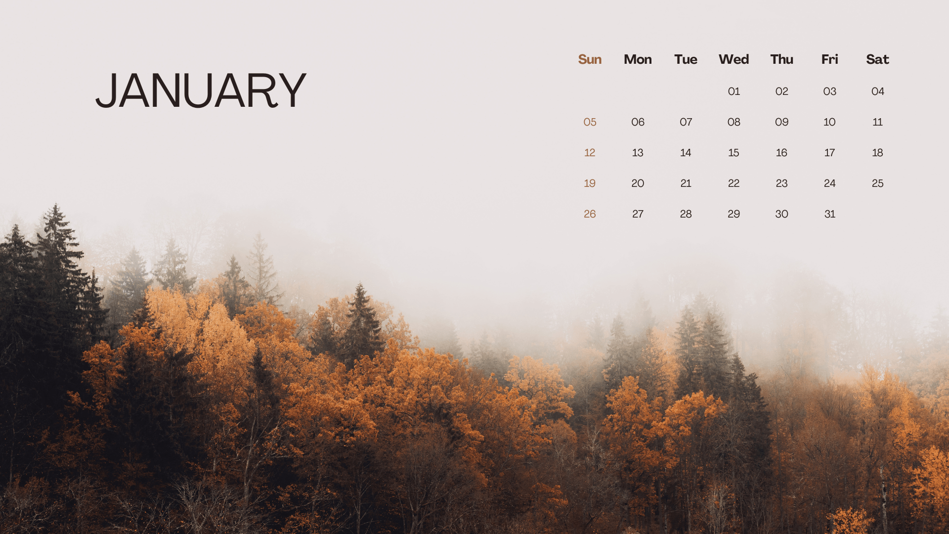 January 2025 Calendar Wallpapers - Top Free January 2025 Calendar ...