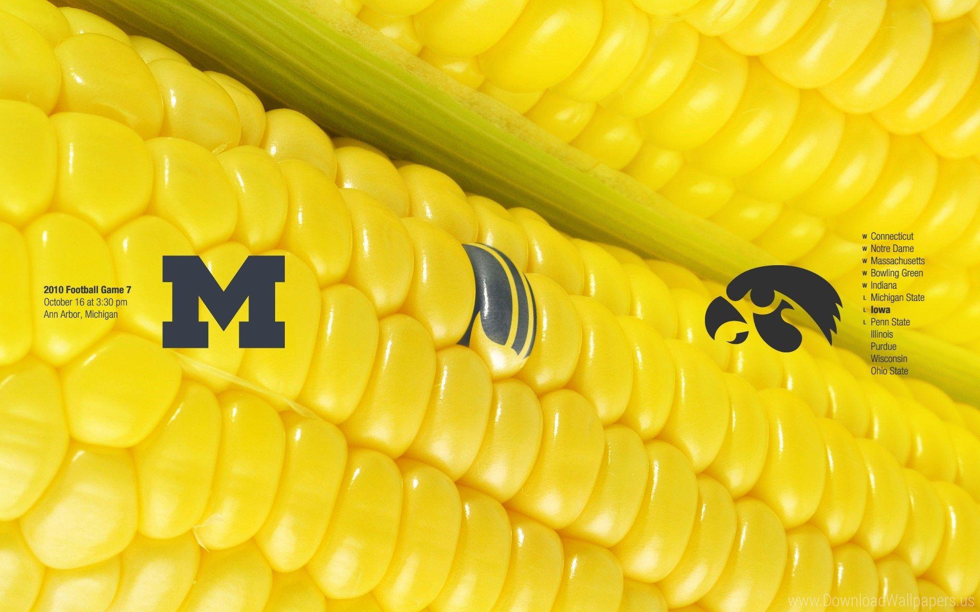 Michigan Wallpapers - Top Free Michigan Backgrounds - WallpaperAccess