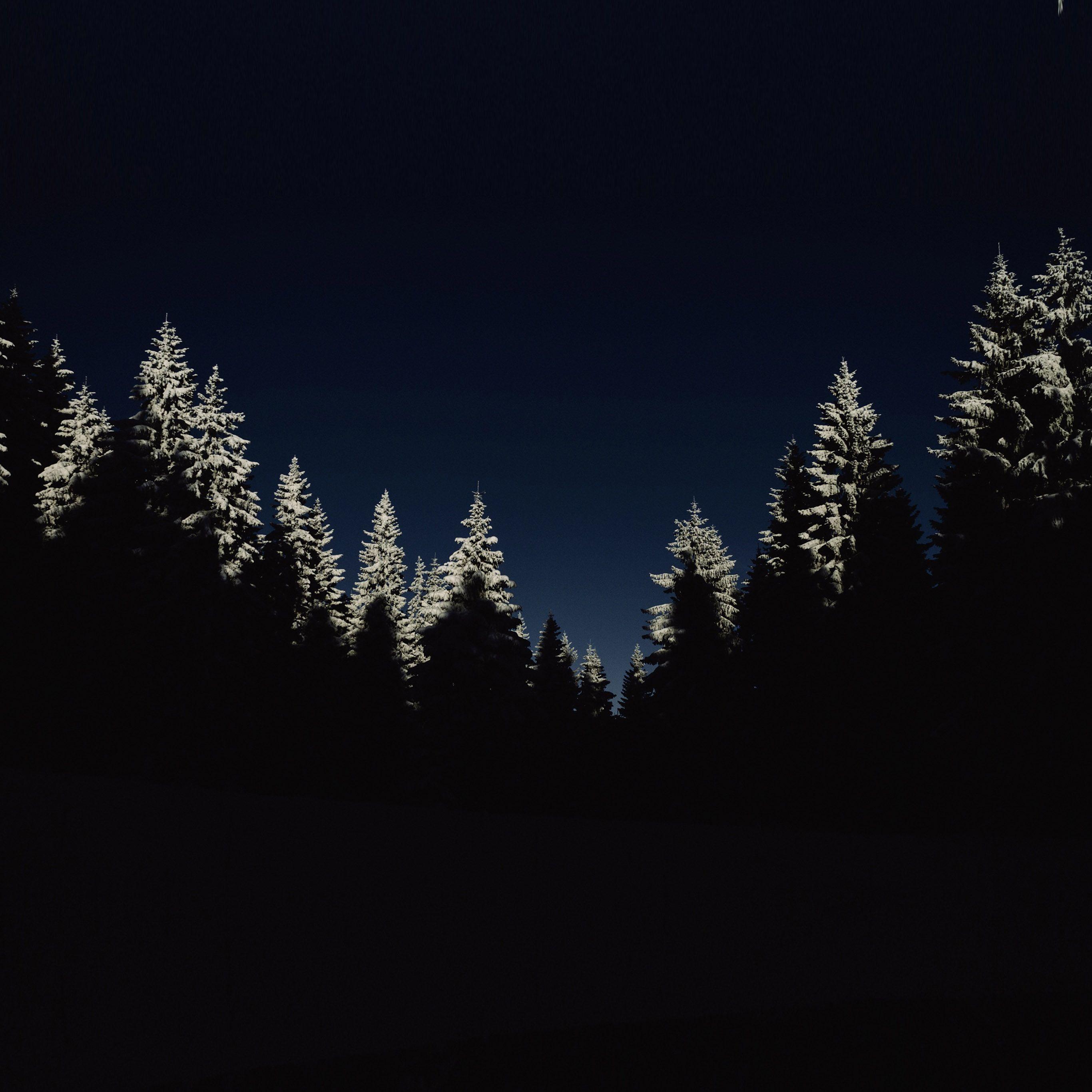 Minimal Forest Wallpapers - Top Free Minimal Forest Backgrounds ...