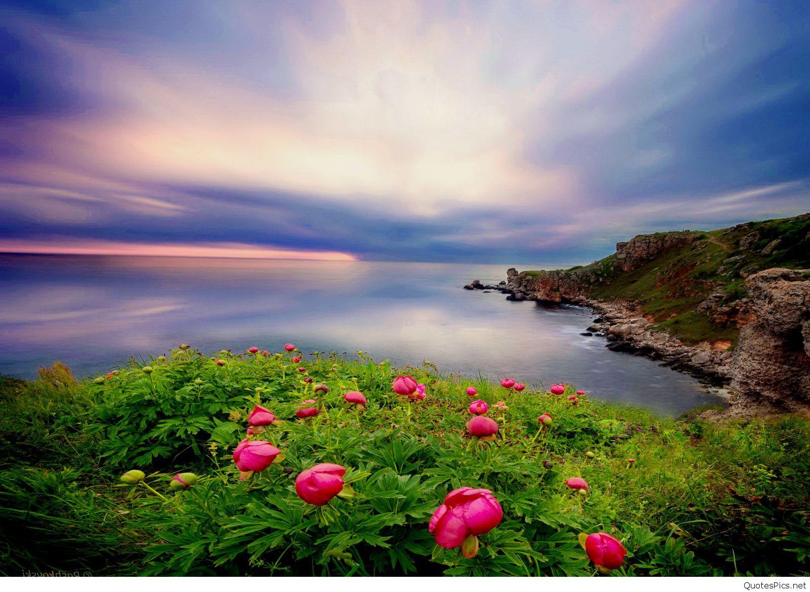 Amazing Nature Wallpapers - Top Free Amazing Nature Backgrounds - WallpaperAccess