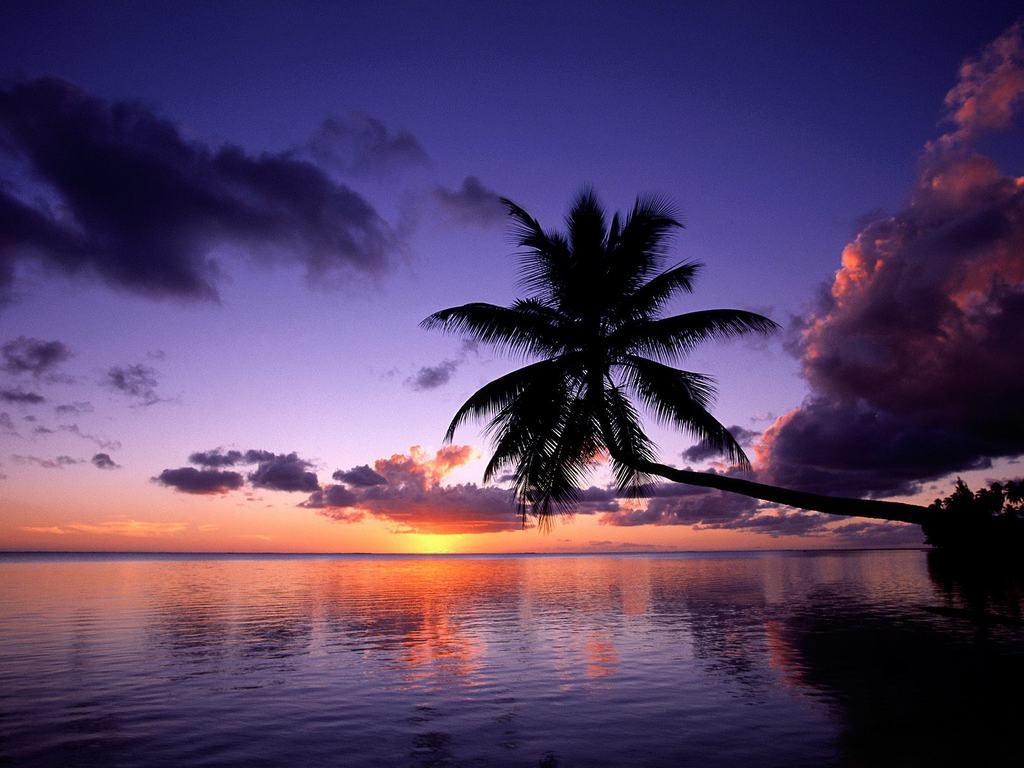 Colorful Beach Sunset Wallpapers - Top Free Colorful Beach Sunset ...