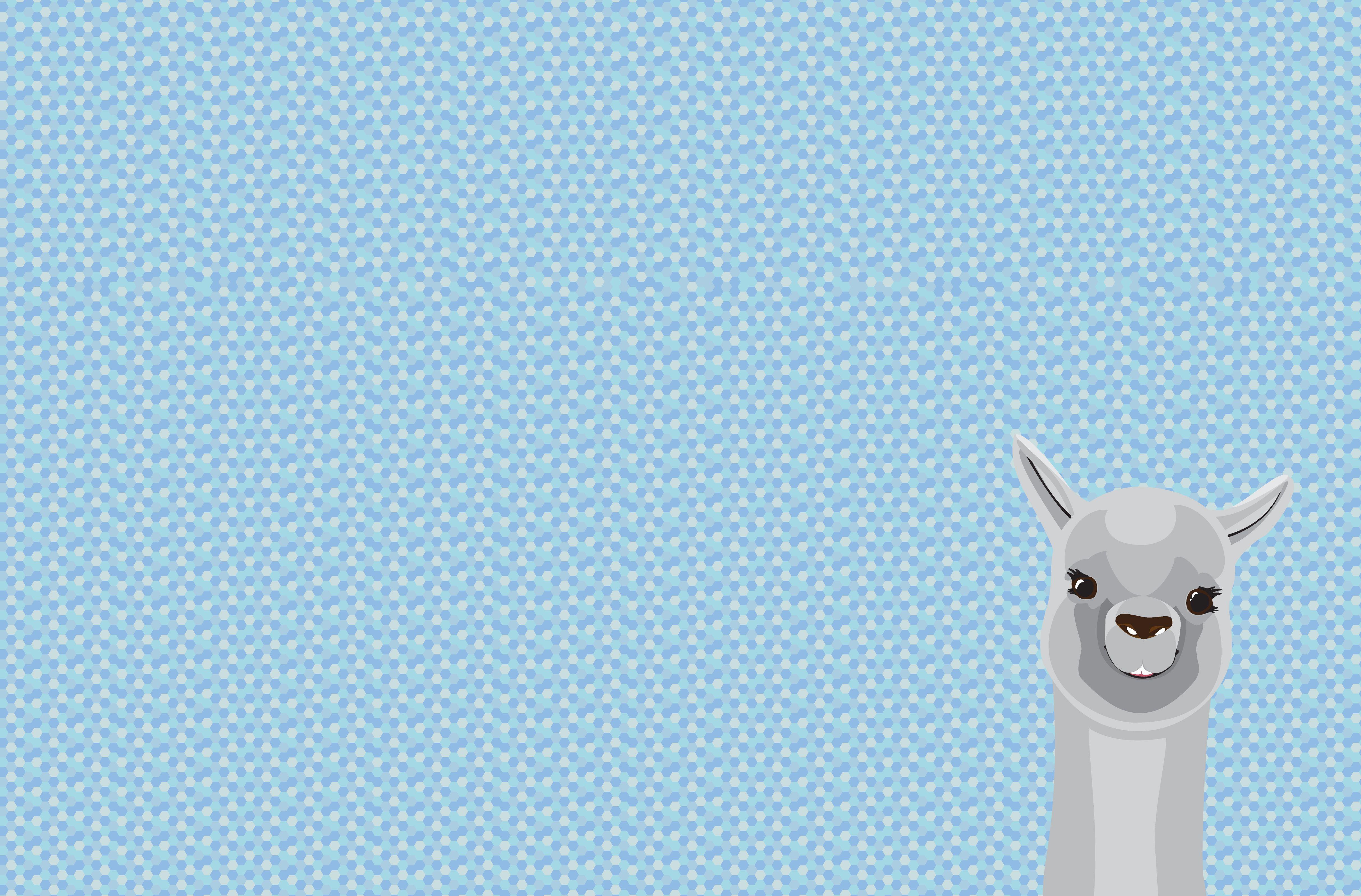 Llama Laptop Wallpapers - Top Free Llama Laptop Backgrounds ...